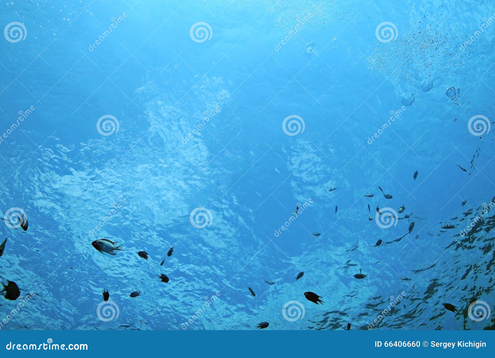 Texture blue sea water stock photo. Image of ripple, ocean - 66406660