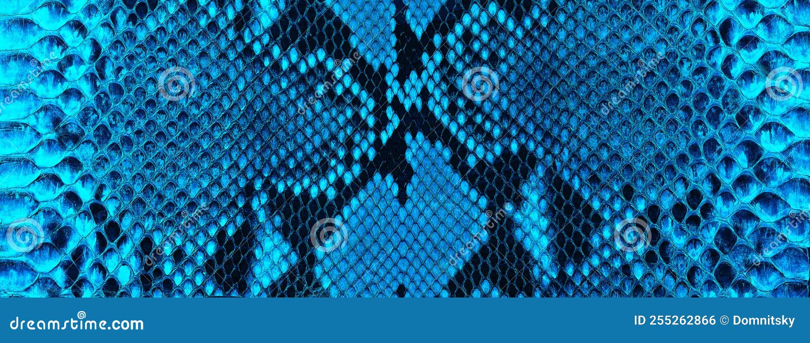 Texture of Blue Snake Skin. Leather Surface with Python Skin Texture ...