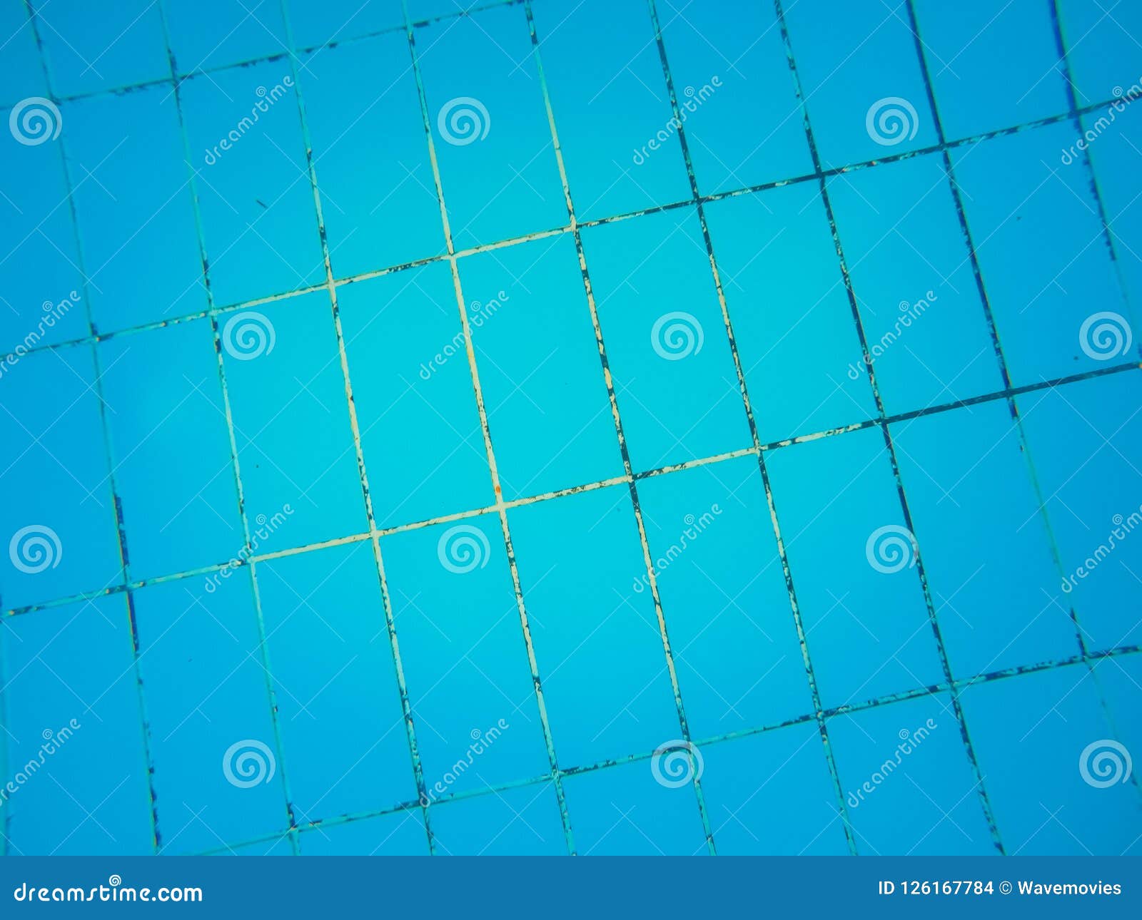 Texture of Blue Tiles on the Bottom of the Swimming Pool Stock Photo ...