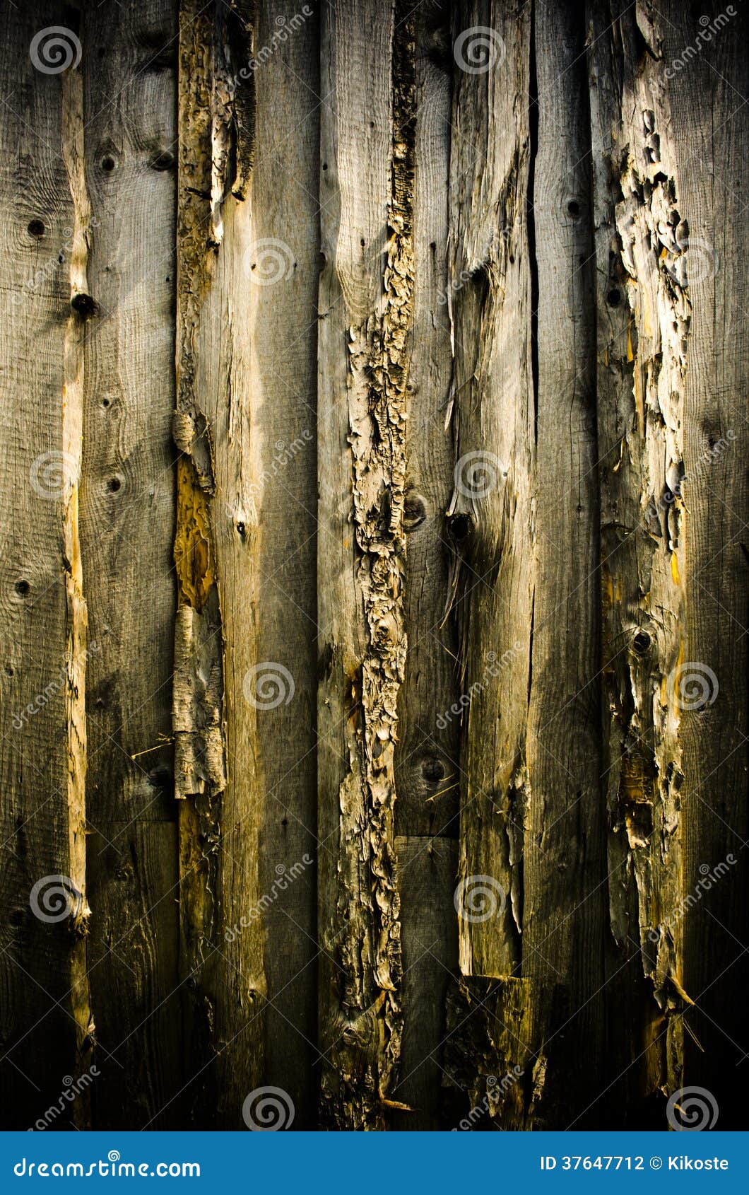 Texture of boards stock photo. Image of closeup, color - 37647712