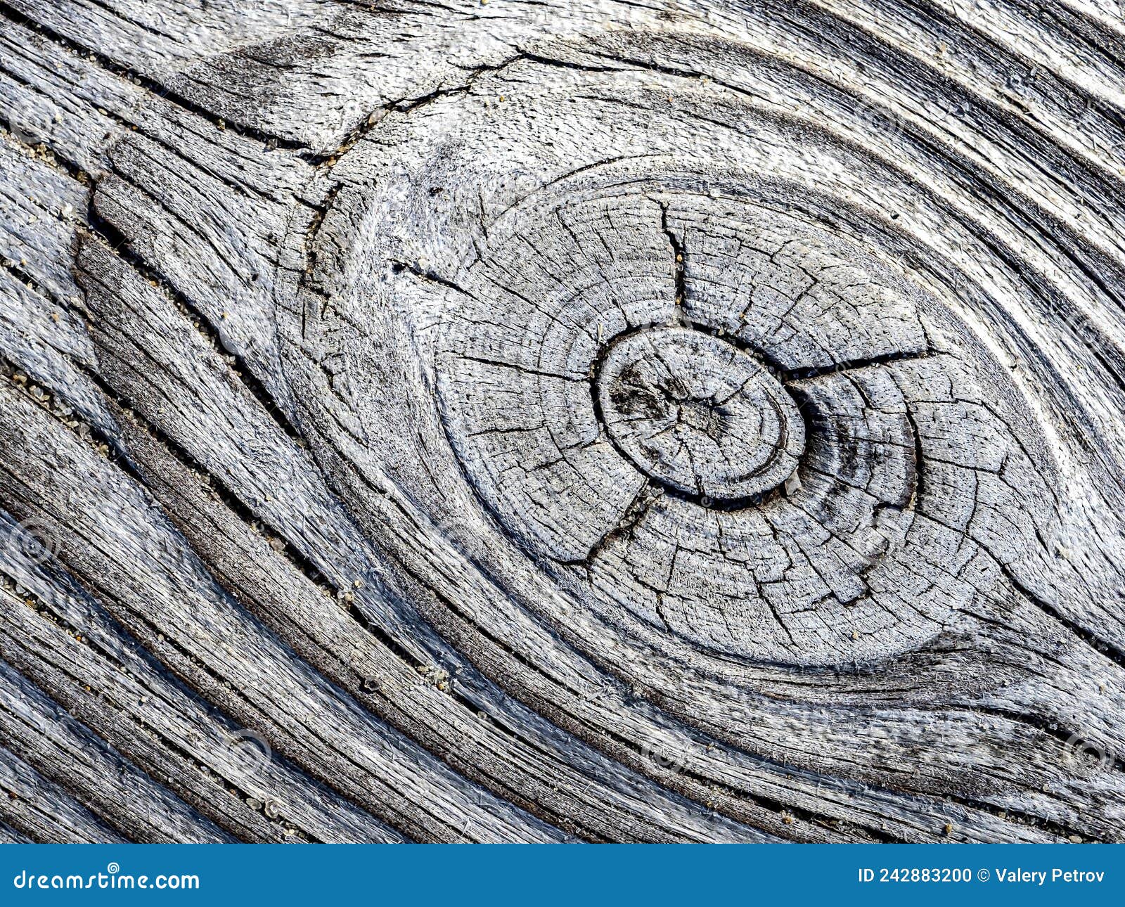 Texture of Boards on the Lake Shore Stock Photo - Image of deck, detail ...