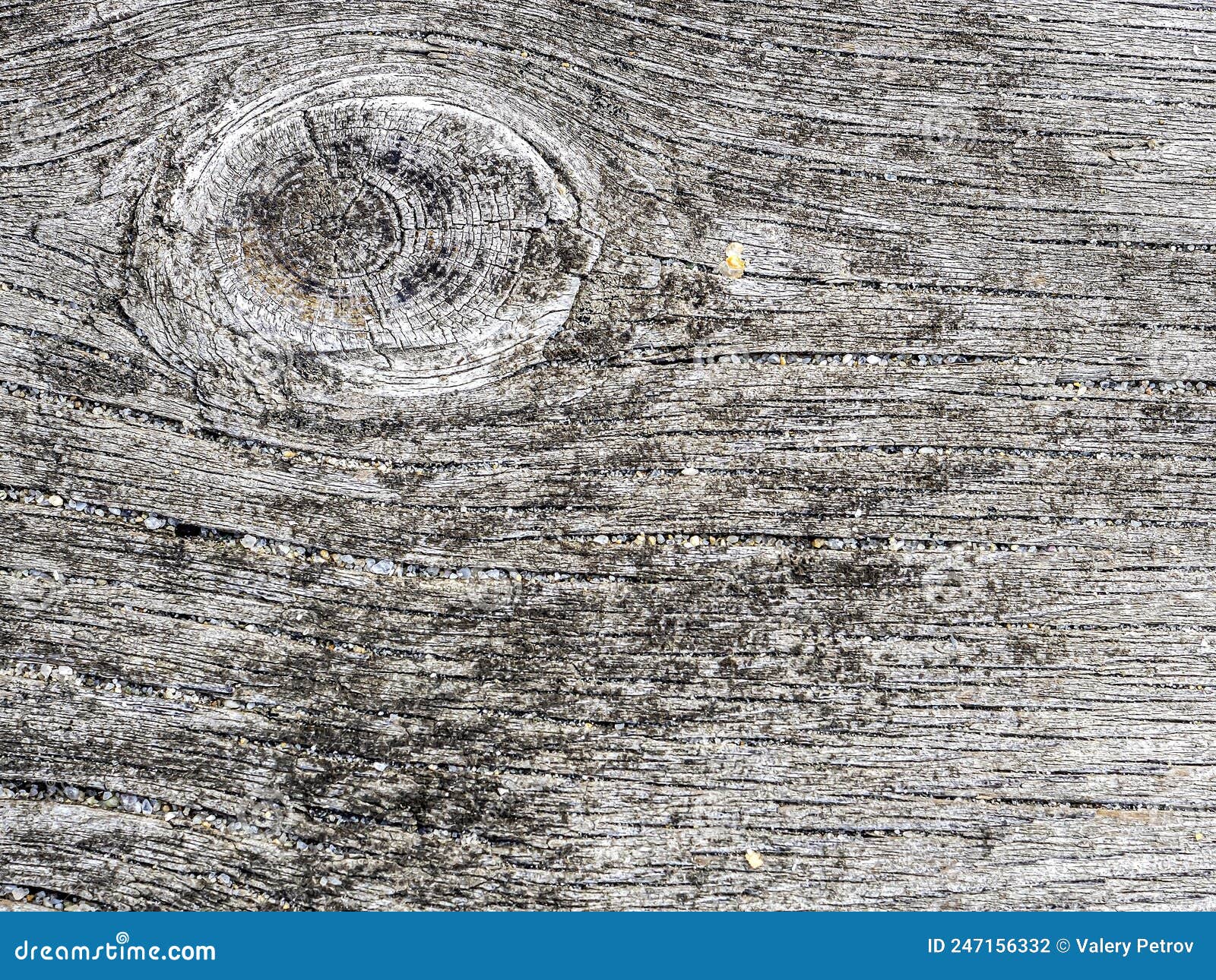 Texture of Boards on the Lake Shore Stock Photo - Image of floor, empty ...
