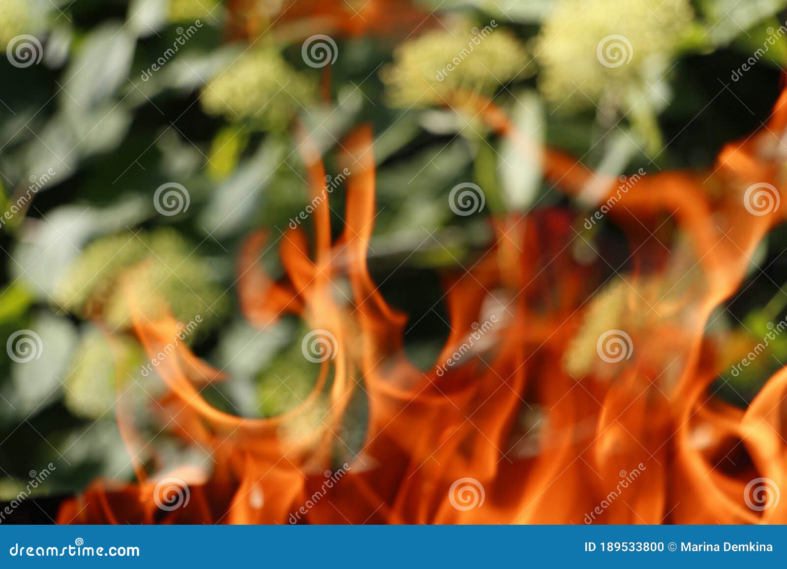 Texture. Bonfire. Orange Flame of a Fire Stock Photo - Image of night ...