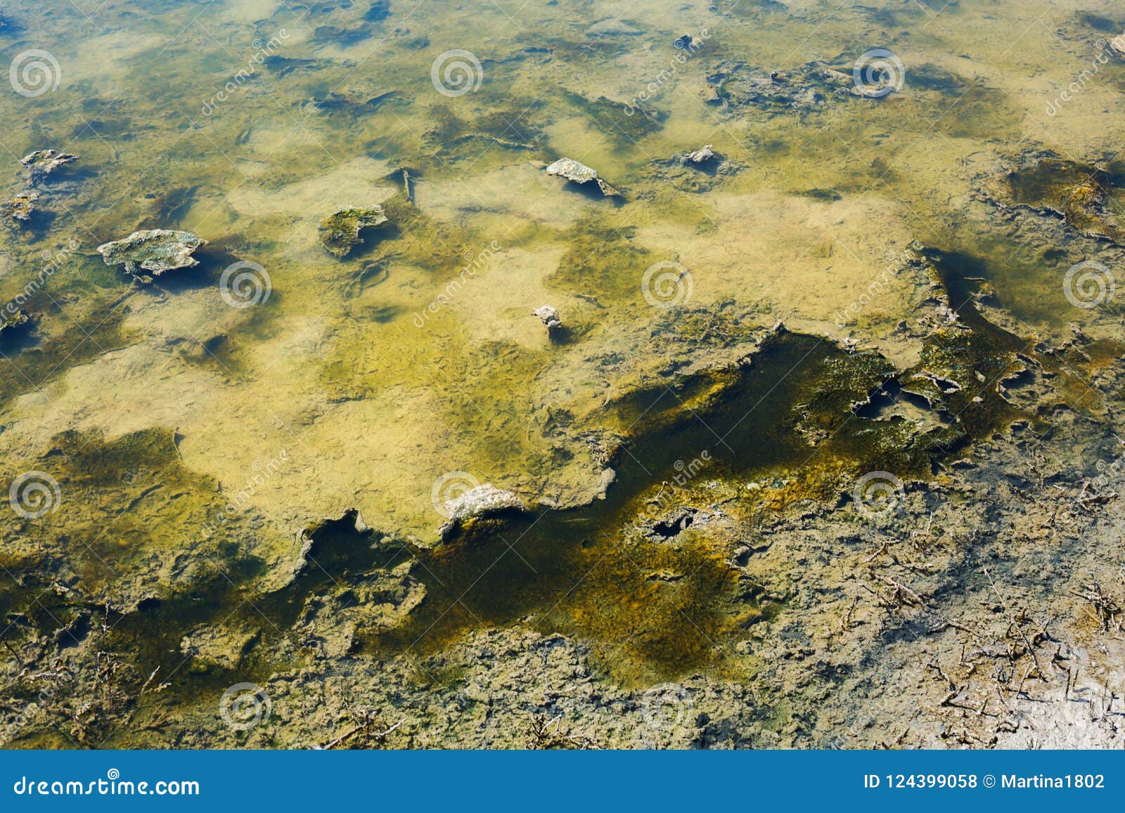 Texture of the Bottom of the Lake with Mud Stock Photo - Image of ...