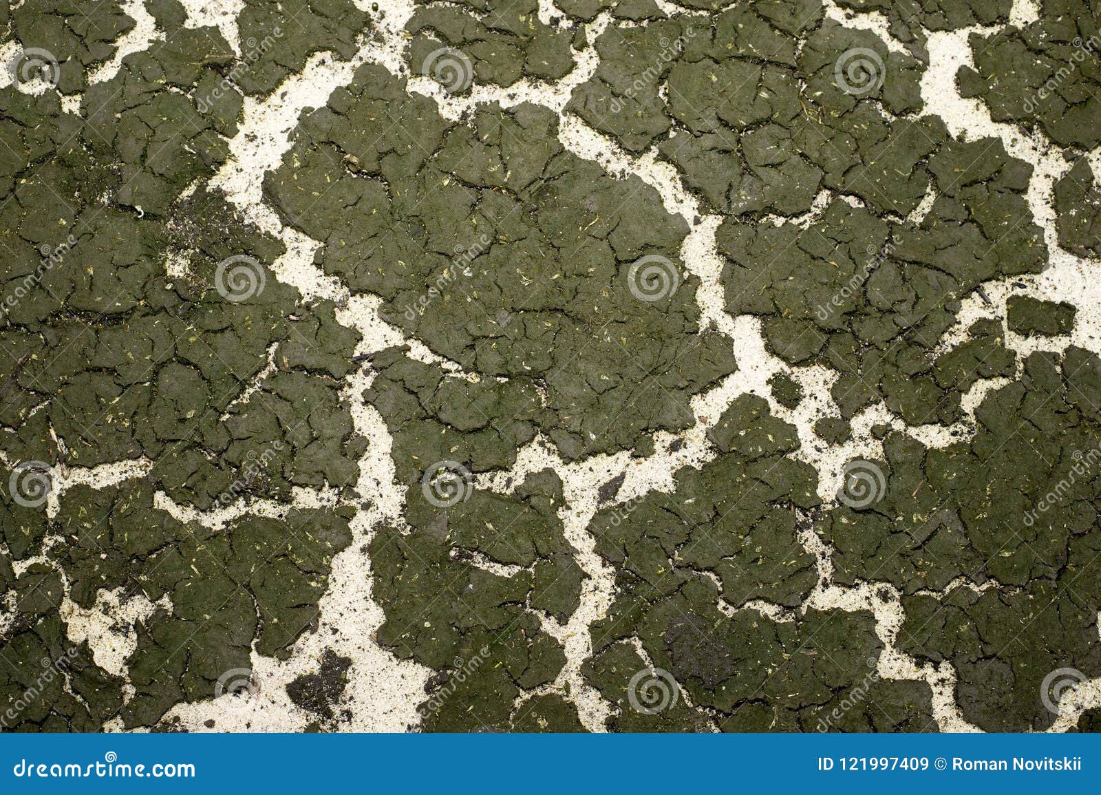 The Texture of the Bottom of the Reservoir Sand and the Accumulation of ...
