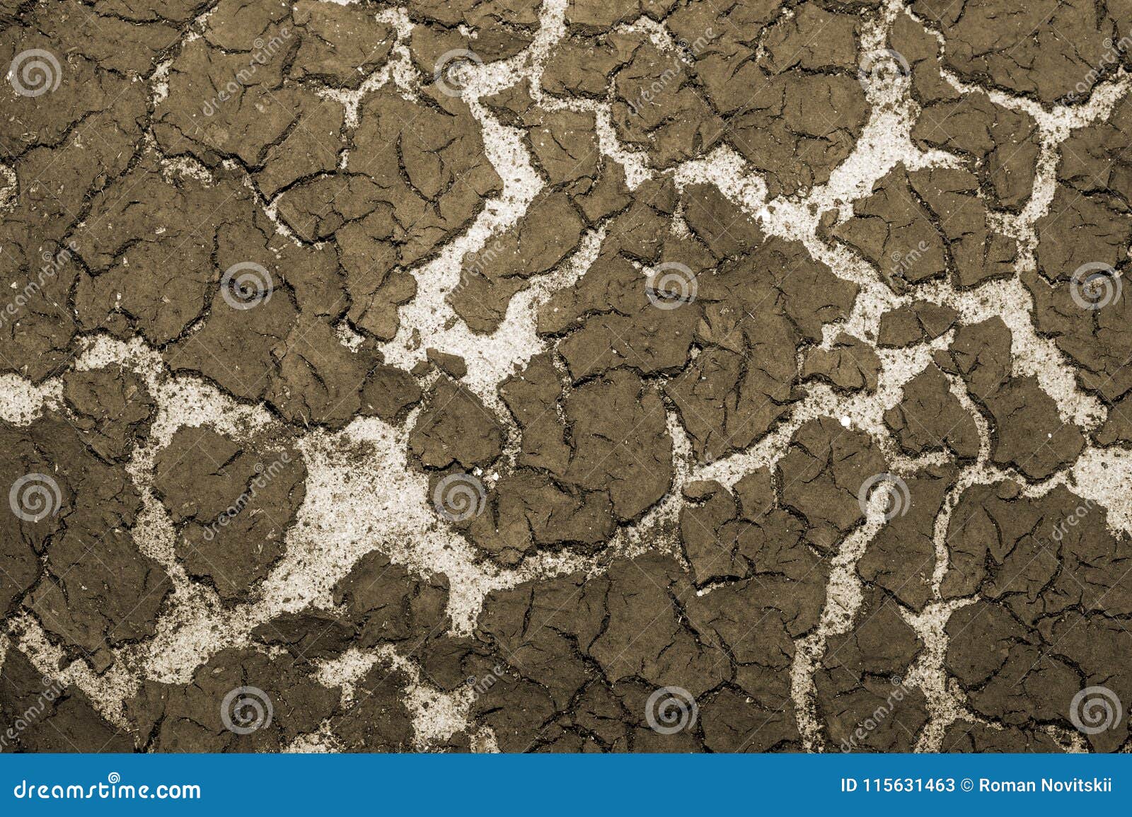 The Texture of the Bottom of the Reservoir Sand and the Accumulation of ...
