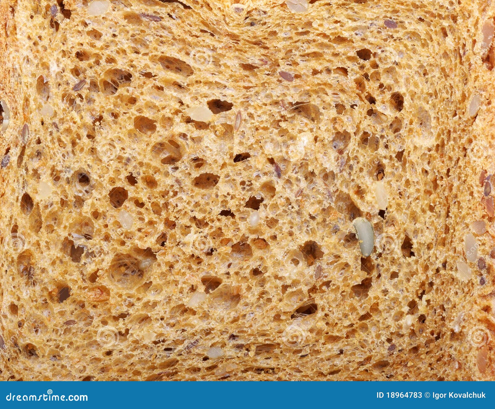 Texture of bread stock image. Image of macro, healthy - 18964783