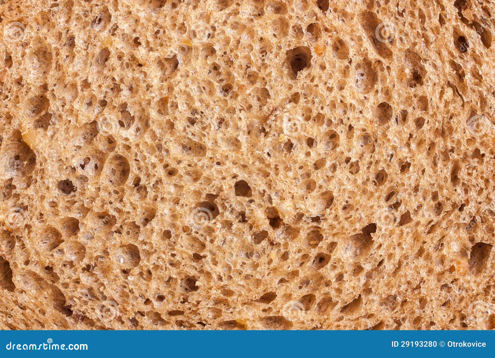 Texture of bread stock photo. Image of slice, baton, brown - 29193280