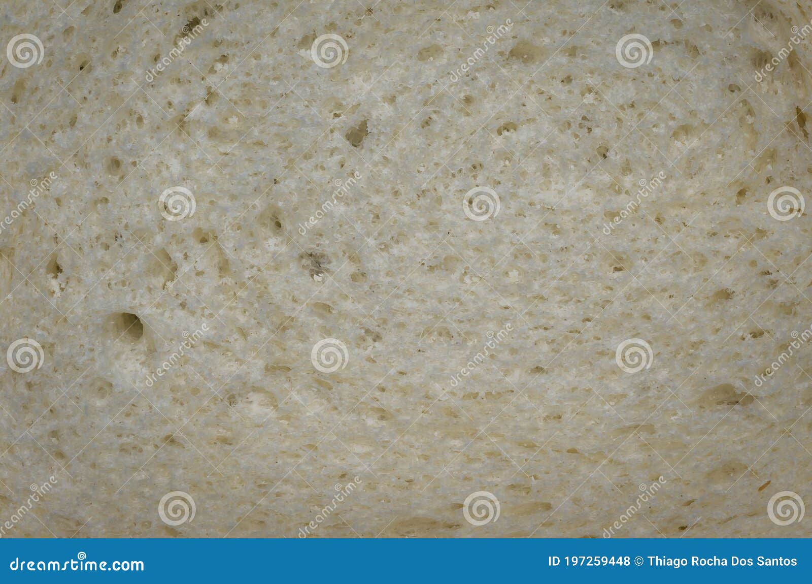 Texture of Bread from Close Up, Crumb of Slice of Sandwich Bread Stock ...