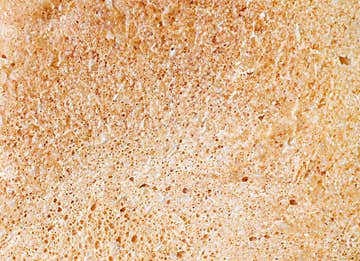 Texture of bread crust stock image. Image of bake, baked - 14484467