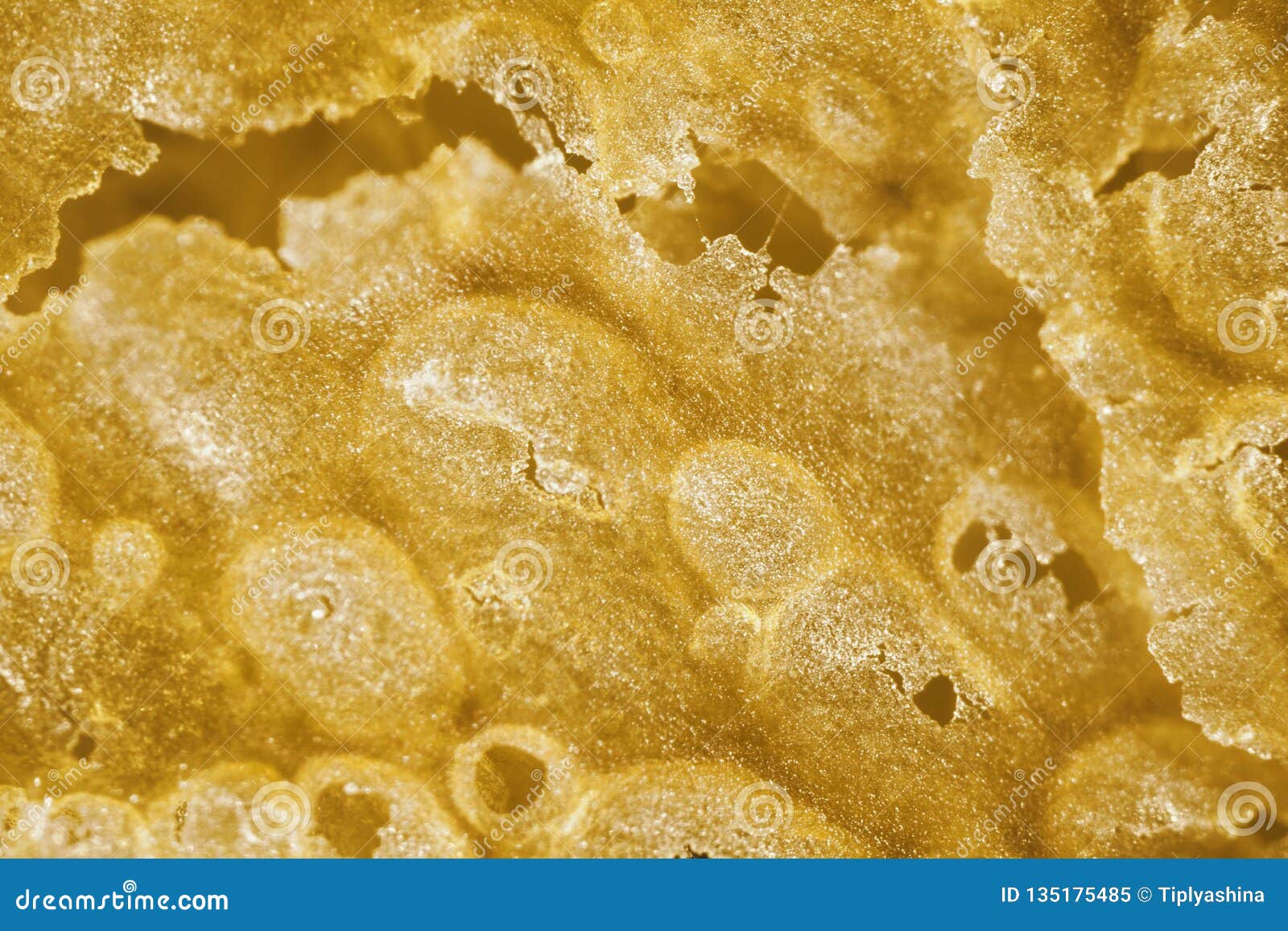 Texture of Bread Crust, Macro Photography Stock Image - Image of micro ...