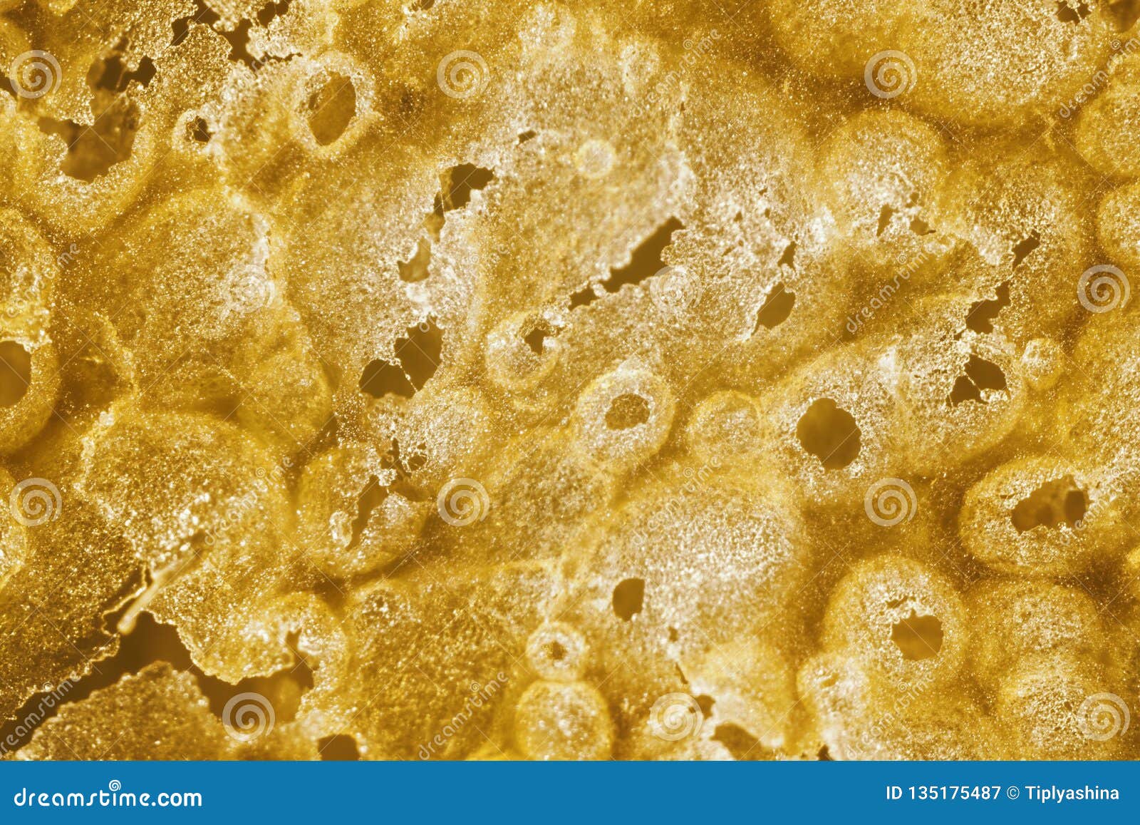 Texture of Bread Crust, Macro Photography Stock Image - Image of bread ...