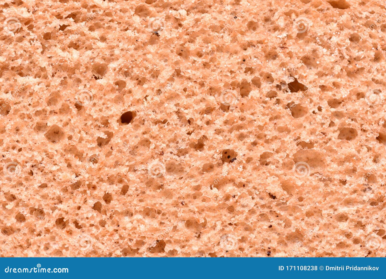 The Texture of the Bread. Porous Surface and Texture of the Cut Edge of ...