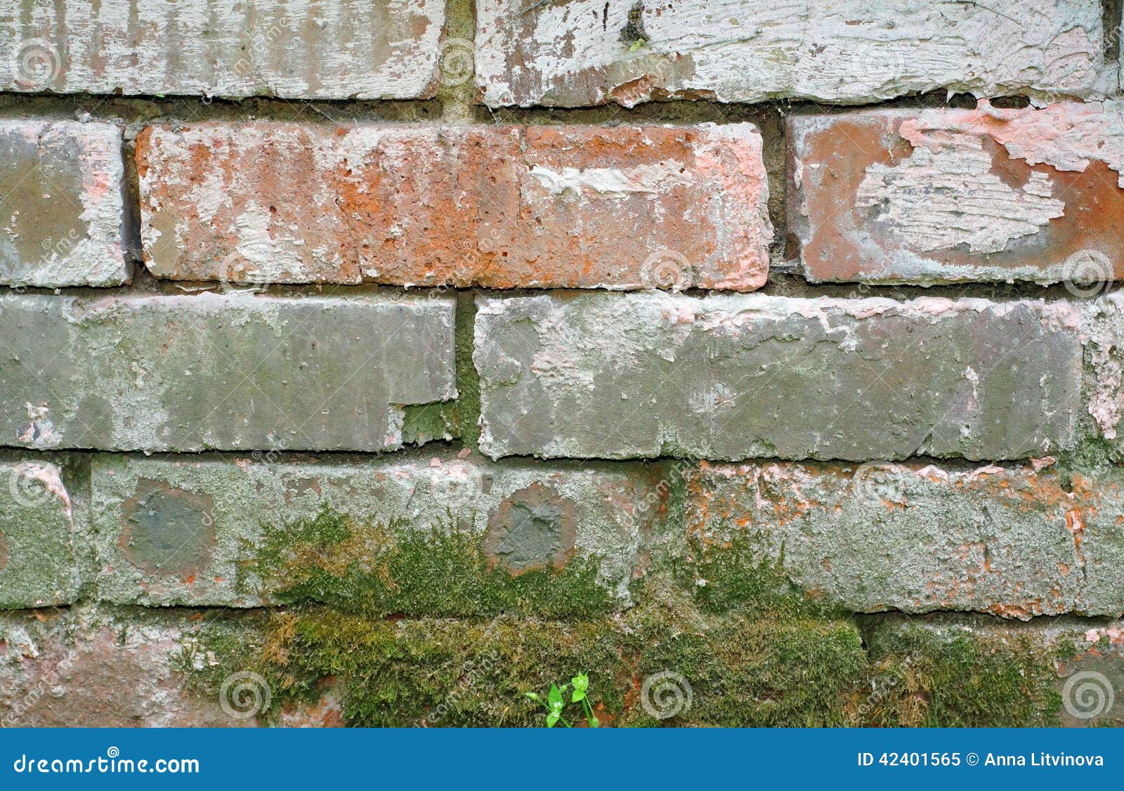 Texture of a Brick Foundation with an Old Moss Stock Image - Image of ...