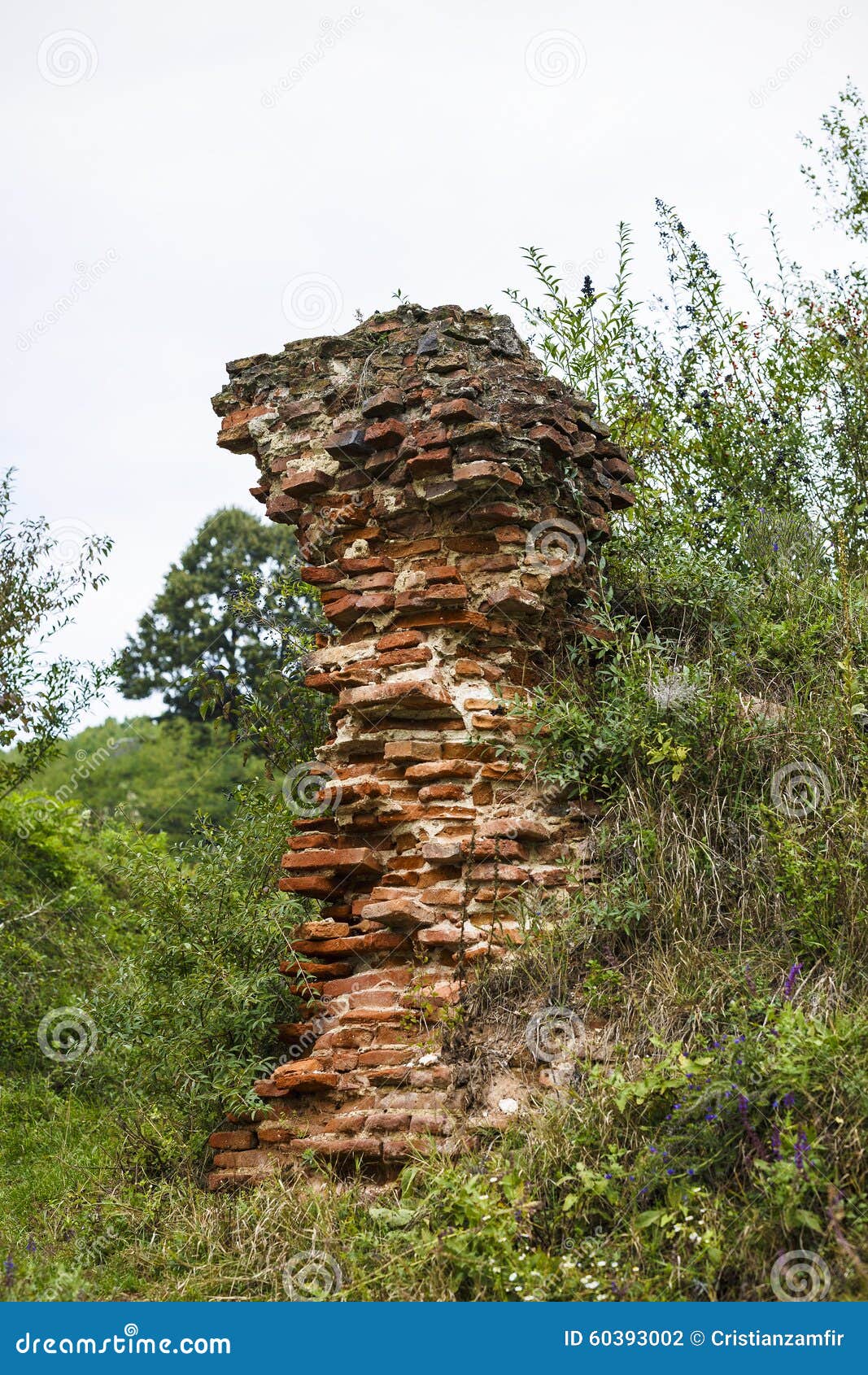 Texture stock photo. Image of decor, history, brick, block - 60393002