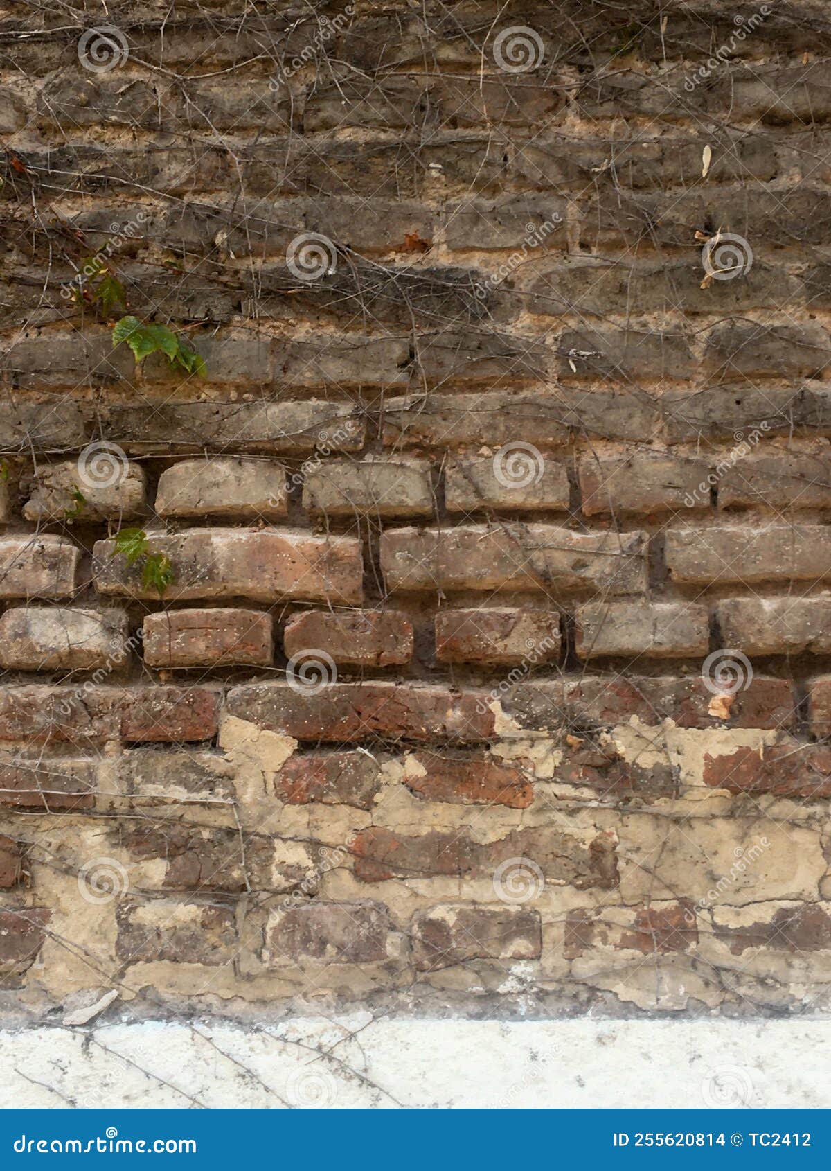 Texture of a brick wall stock photo. Image of ageing - 255620814