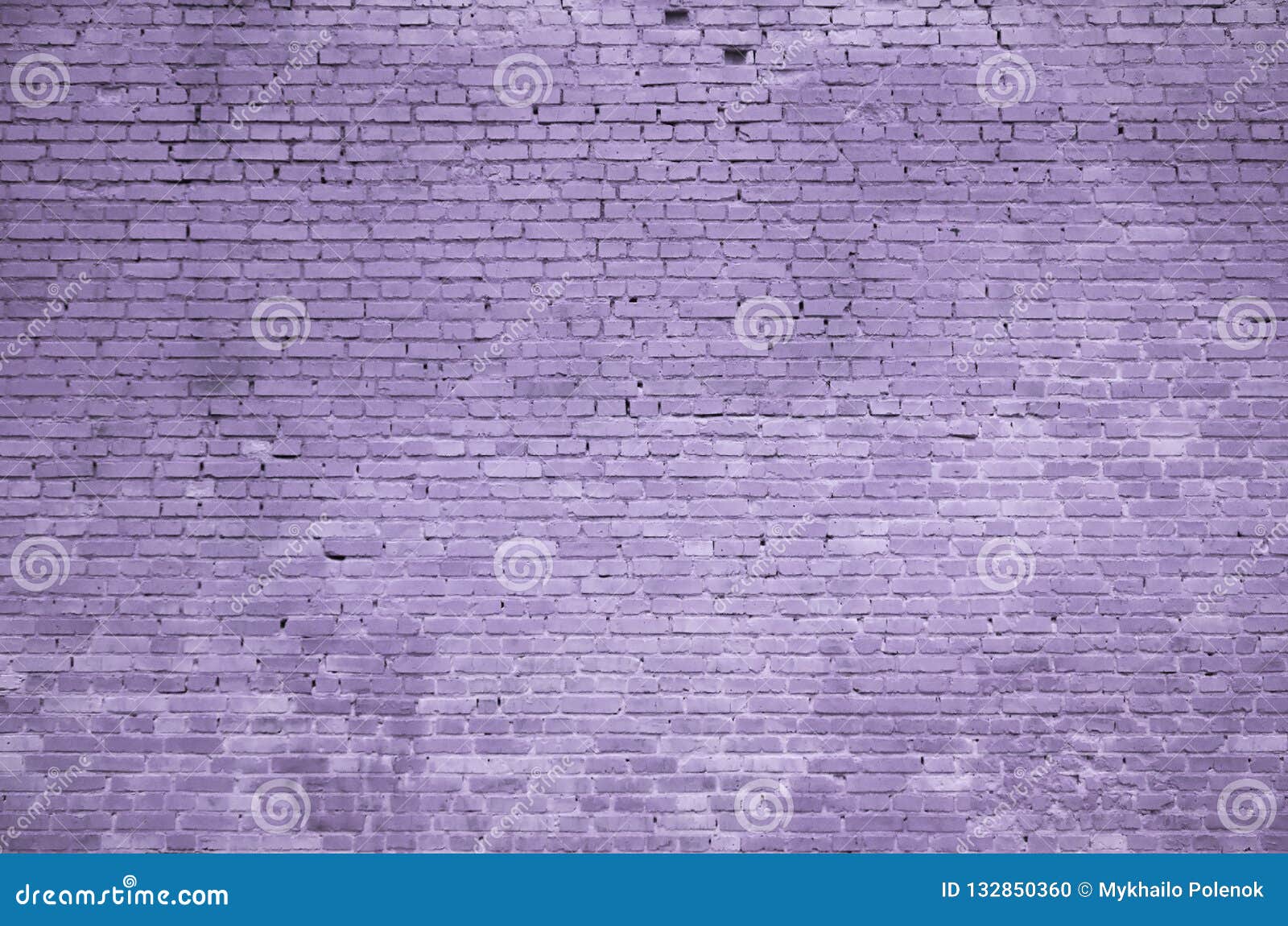 The Texture of the Brick Wall of Many Rows of Bricks Painted in Violet ...