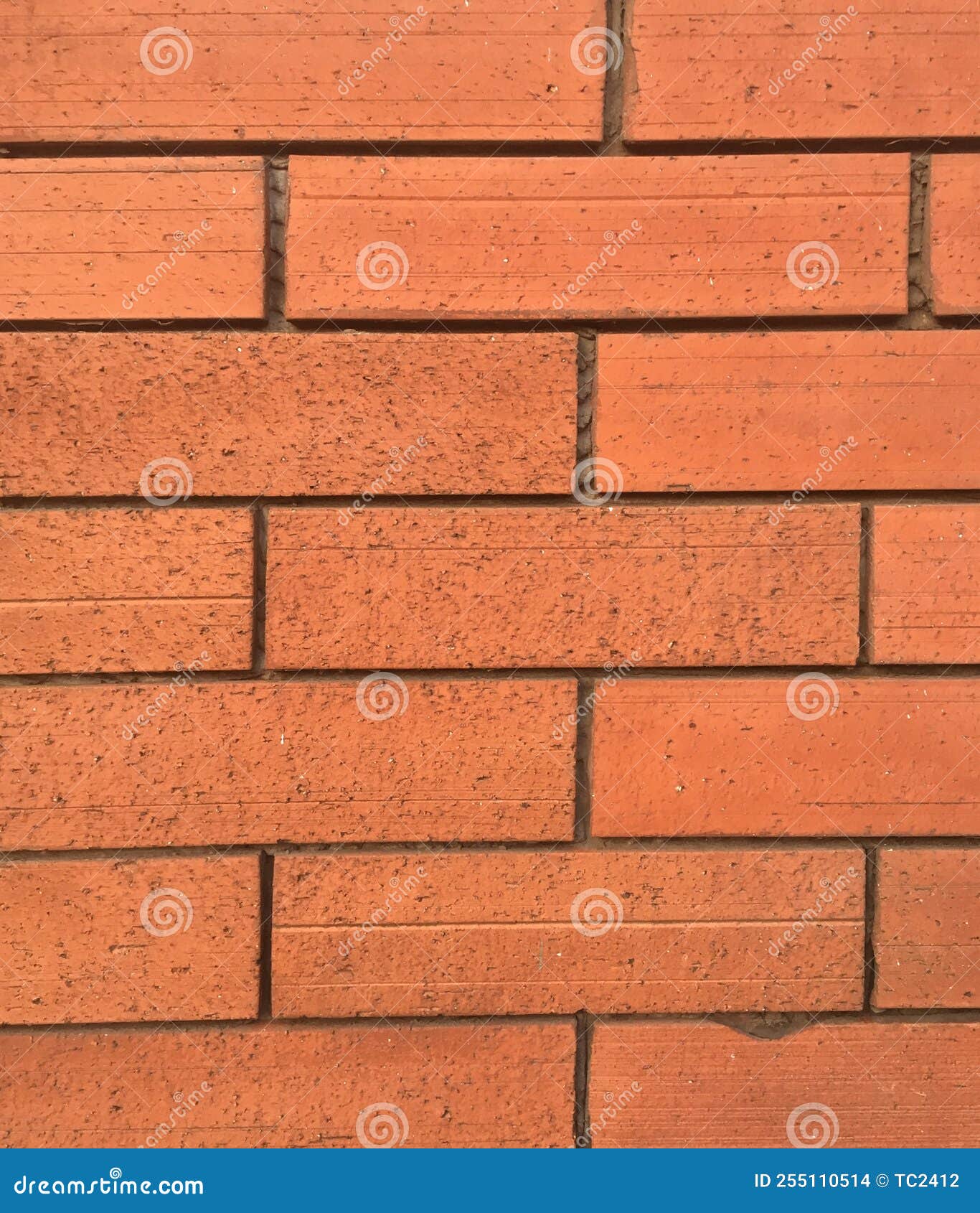 Texture of a brick wall stock photo. Image of backgrounds - 255110514
