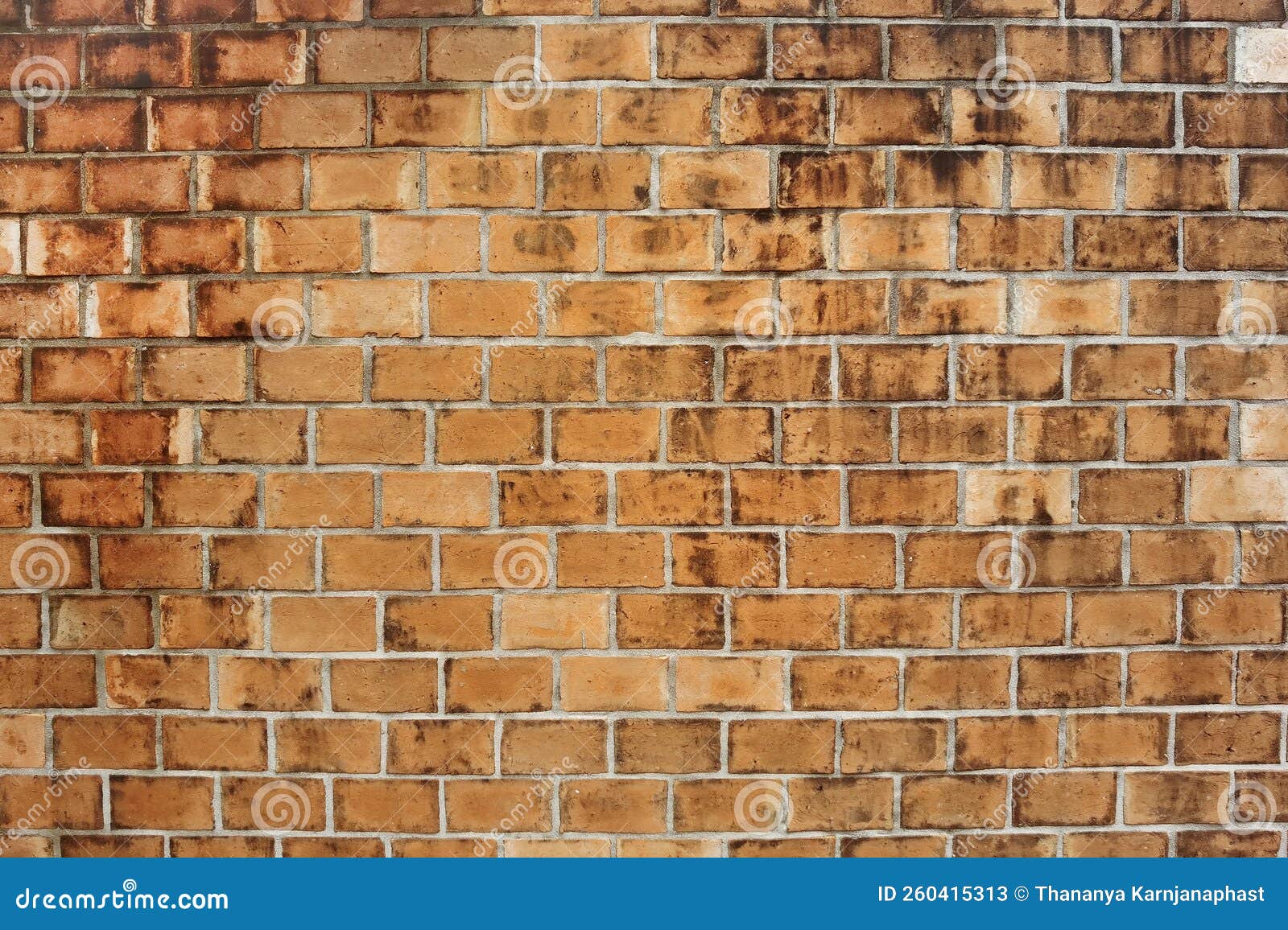 Texture of the brick walls stock image. Image of texture - 260415313