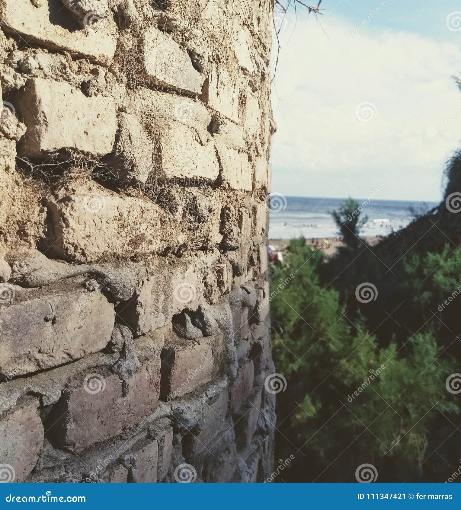 Texture Bricks Sea Backround Stock Image - Image of wall, brick: 111347421