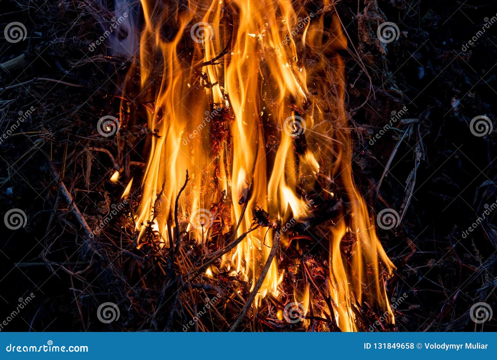 The Texture of Bright Fire on a Dark Background. a Bonfire during a ...