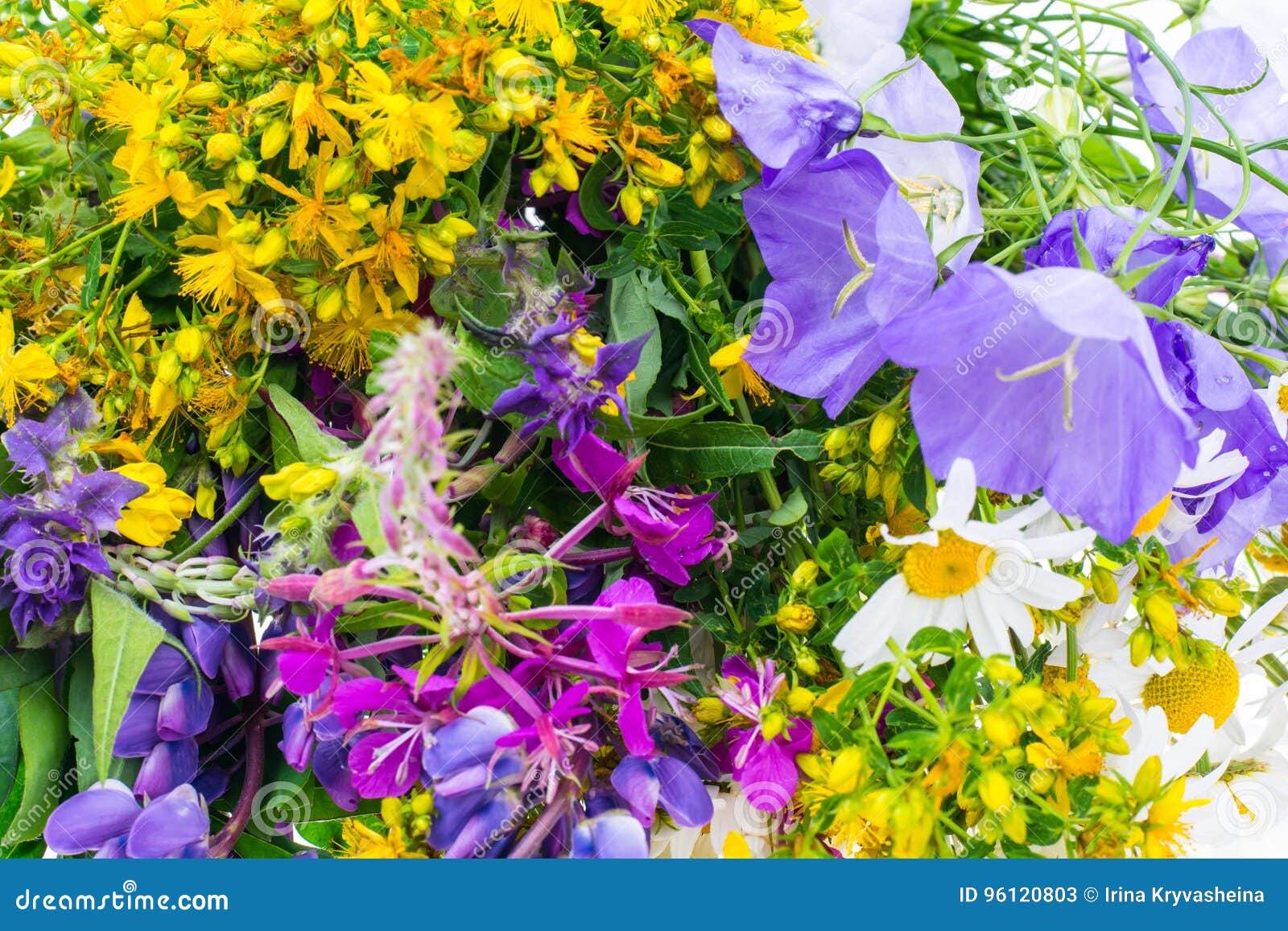 Texture of Bright Wildflowers Stock Image - Image of garden, meadow ...