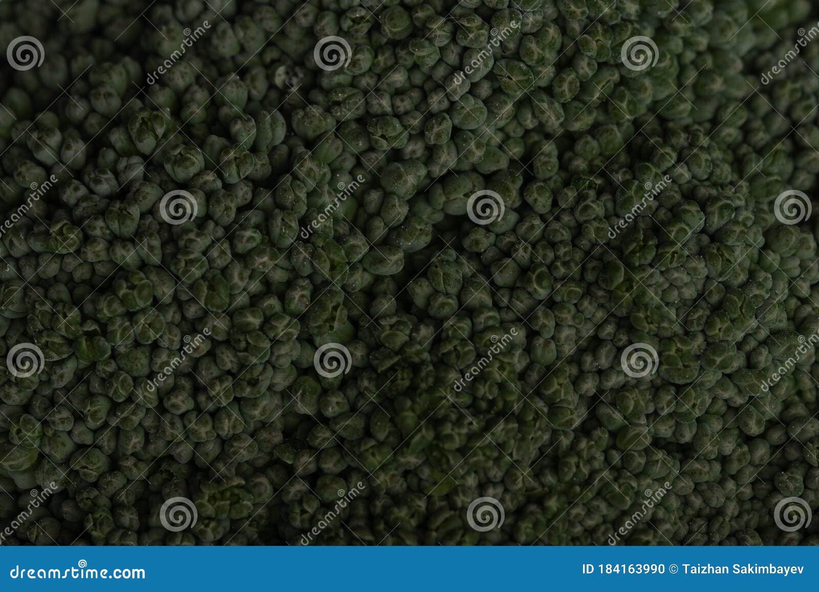 Texture Of Broccoli Macro. Top View Of Broccoli. Organic Food ...