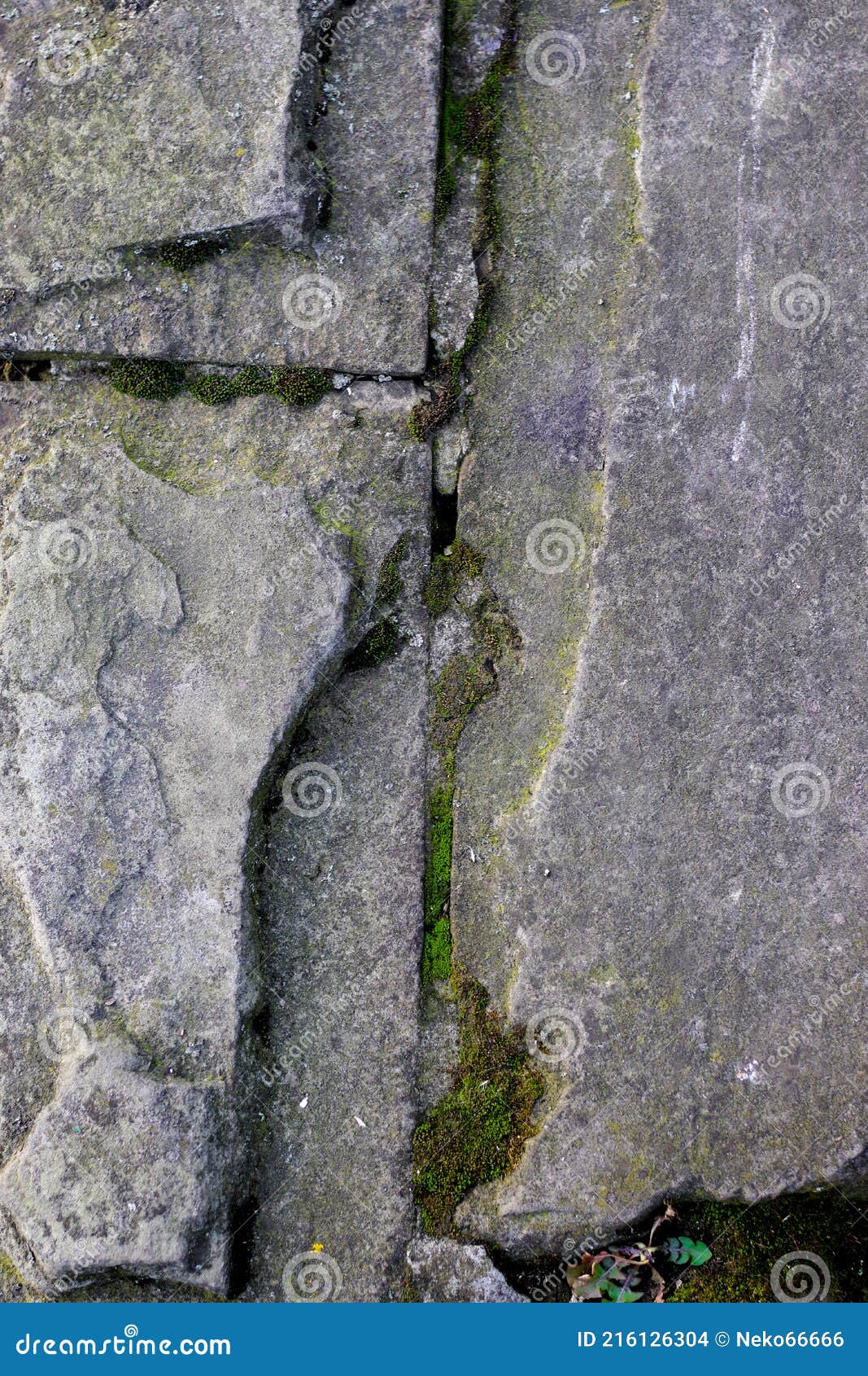 Texture of Broken Gray Stone with Green Moss Stock Photo - Image of ...