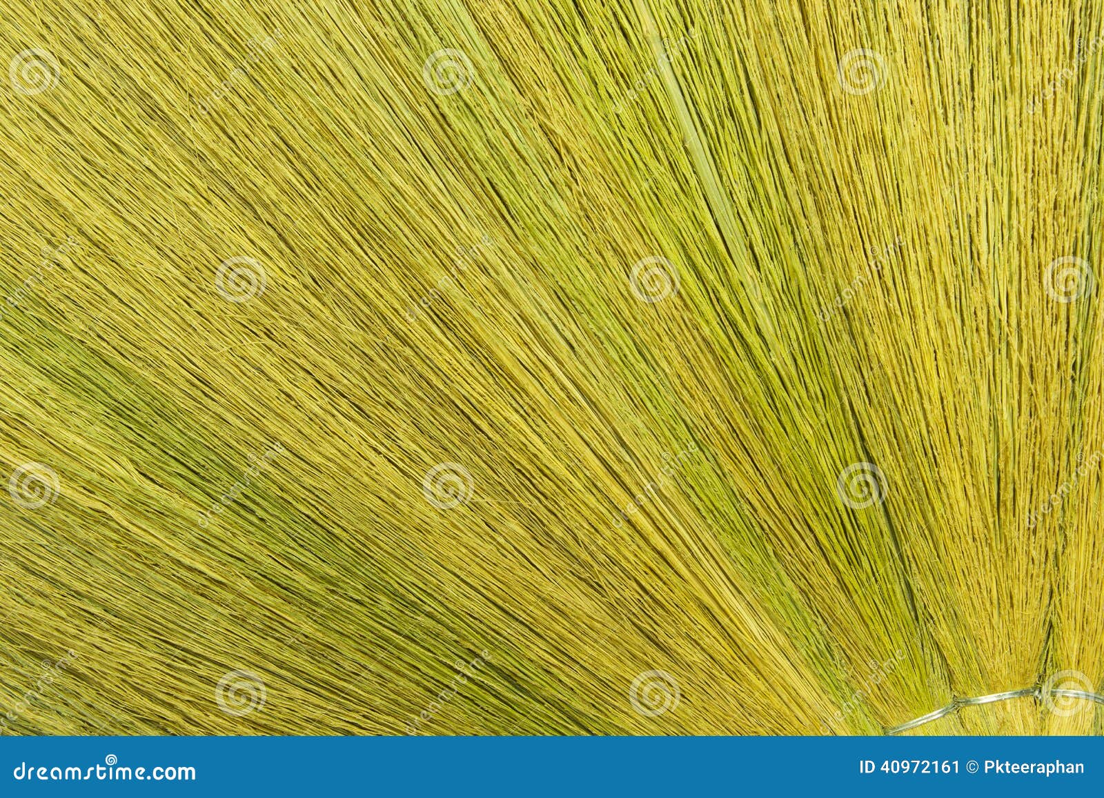 Texture of broom stock image. Image of green, structure - 40972161