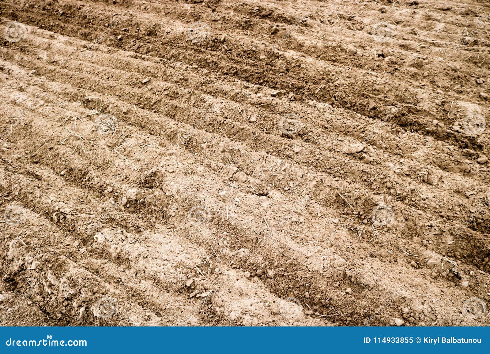 Texture of Brown Dug Up Earth with Beds, Pebbles and Sand Stock Image ...