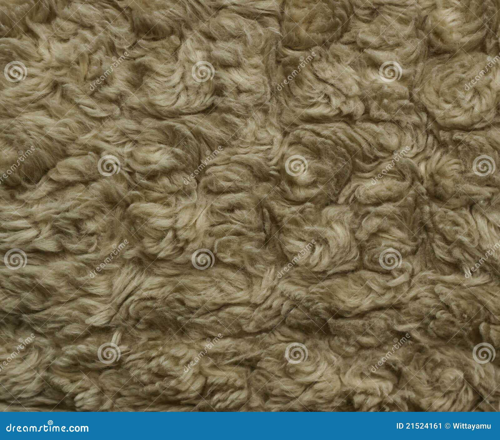 The texture of brown fur stock image. Image of softness - 21524161