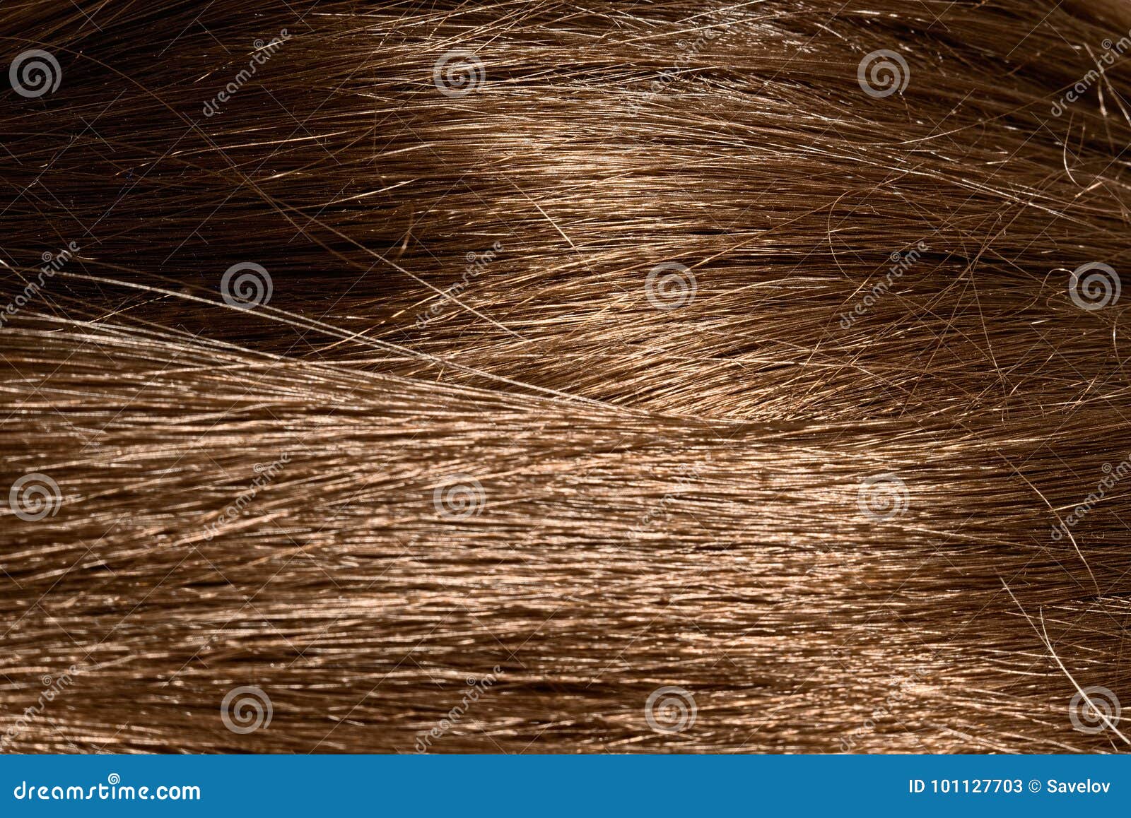 Texture of brown hair stock image. Image of coiffure - 101127703