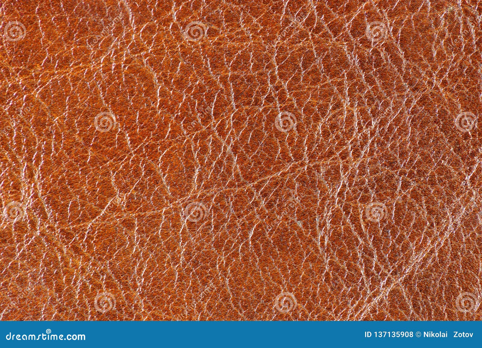 The Texture of Brown Leather, Intertwining Fiber Lines of Different ...