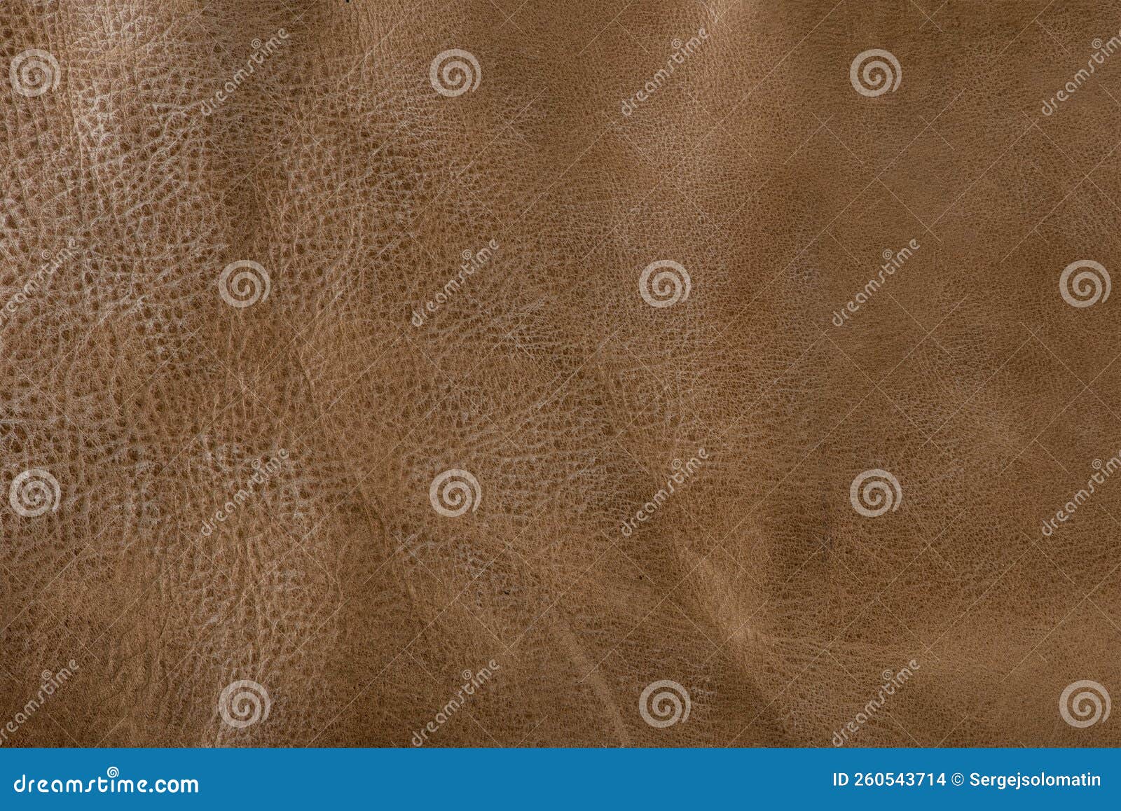 Texture of Brown Leather. Texture of Natural Brown Leather Stock Photo - Image of cloth, brown ...