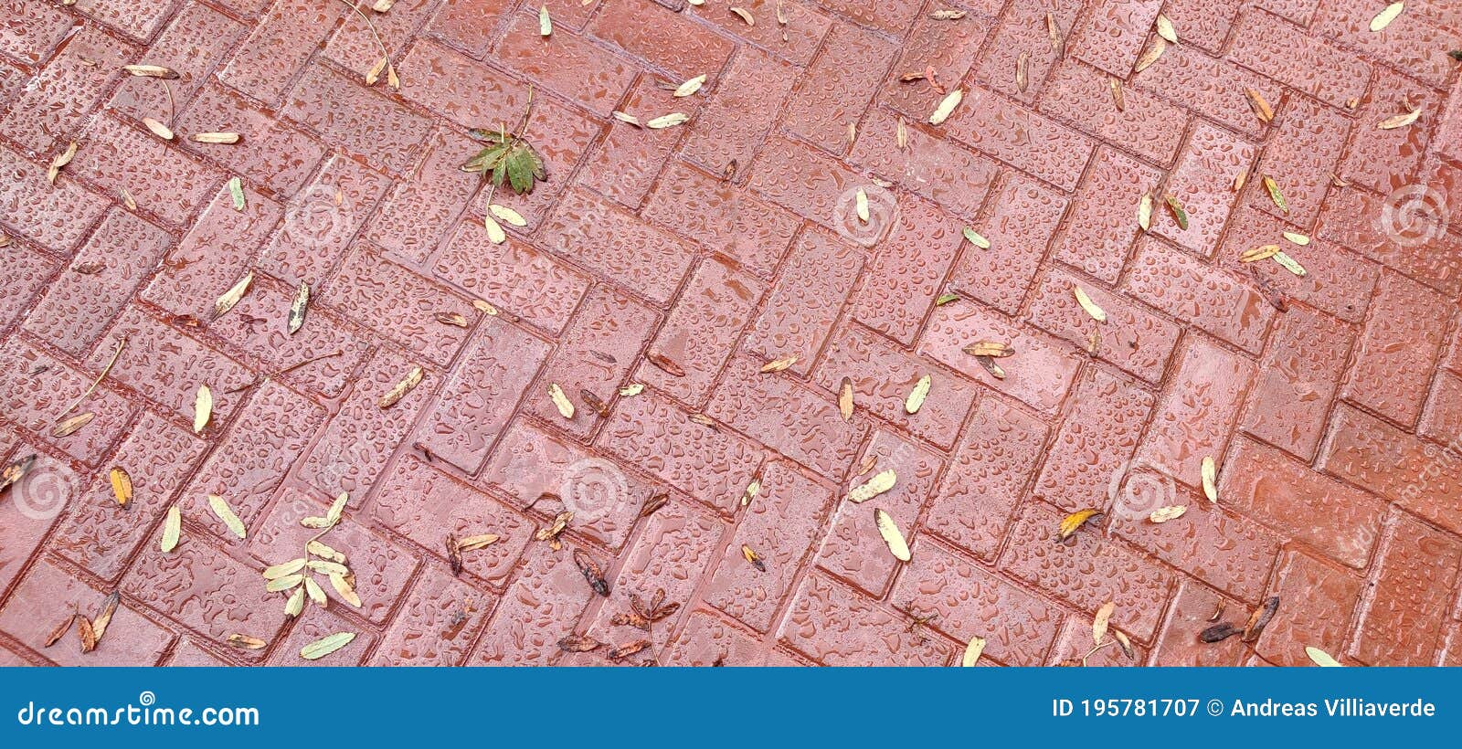 Brown Paving In The Form Of Fish Royalty-Free Stock Photo ...