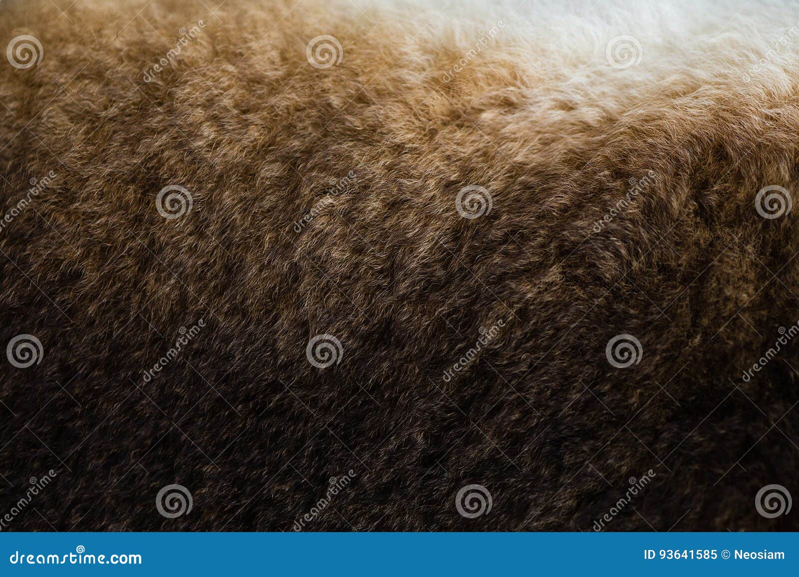Texture of Brown Rabbit Fur Stock Image - Image of nature, natural ...