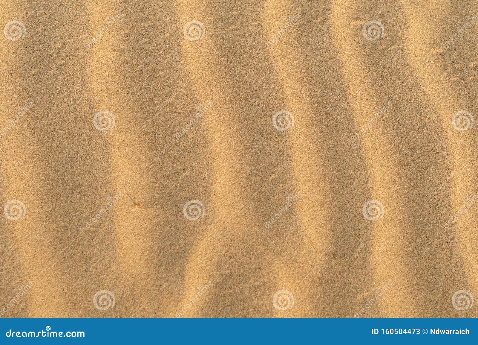 Texture of the brown sand stock image. Image of grey - 160504473