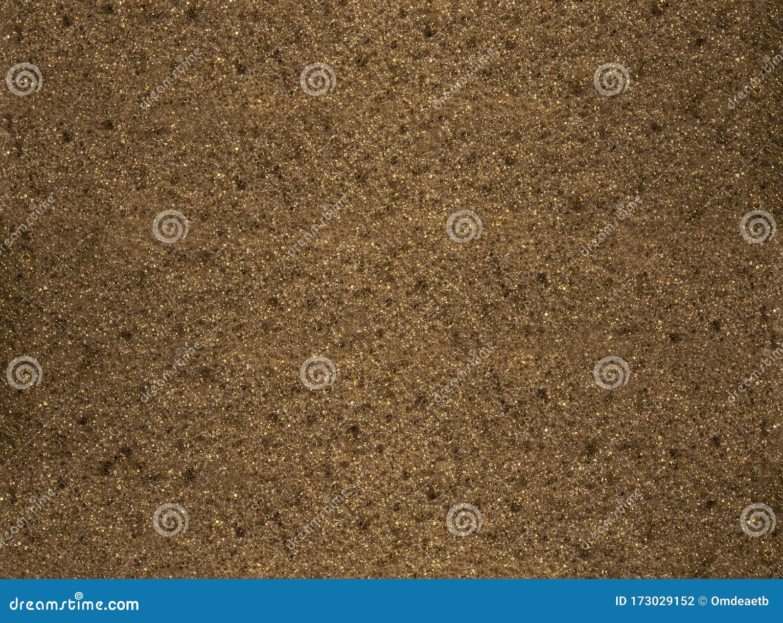 Texture of Brown Sponge. for Background. Close Up. White Sponge Natural ...