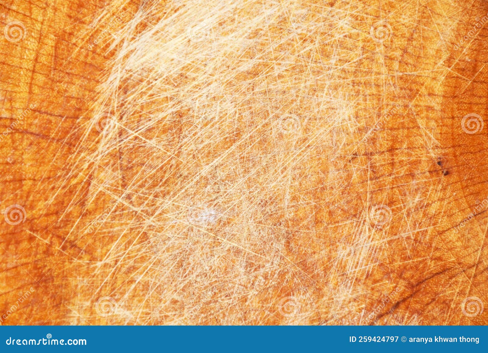 The Texture of the Brown Wood with a Dull White Scratch Fills the Frame ...