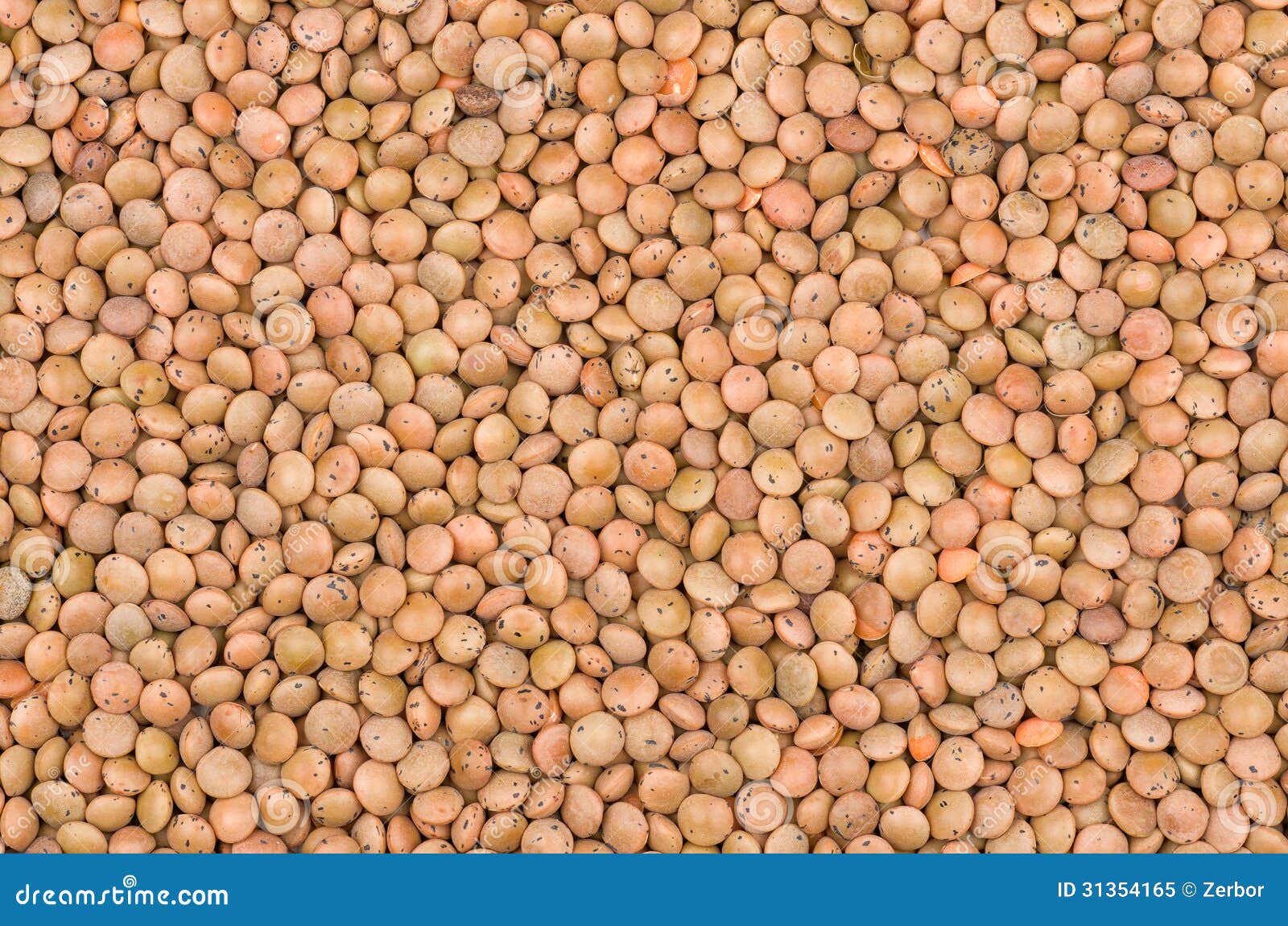 Texture Brune De Lentilles De Plan Rapproché Image stock - Image du ...