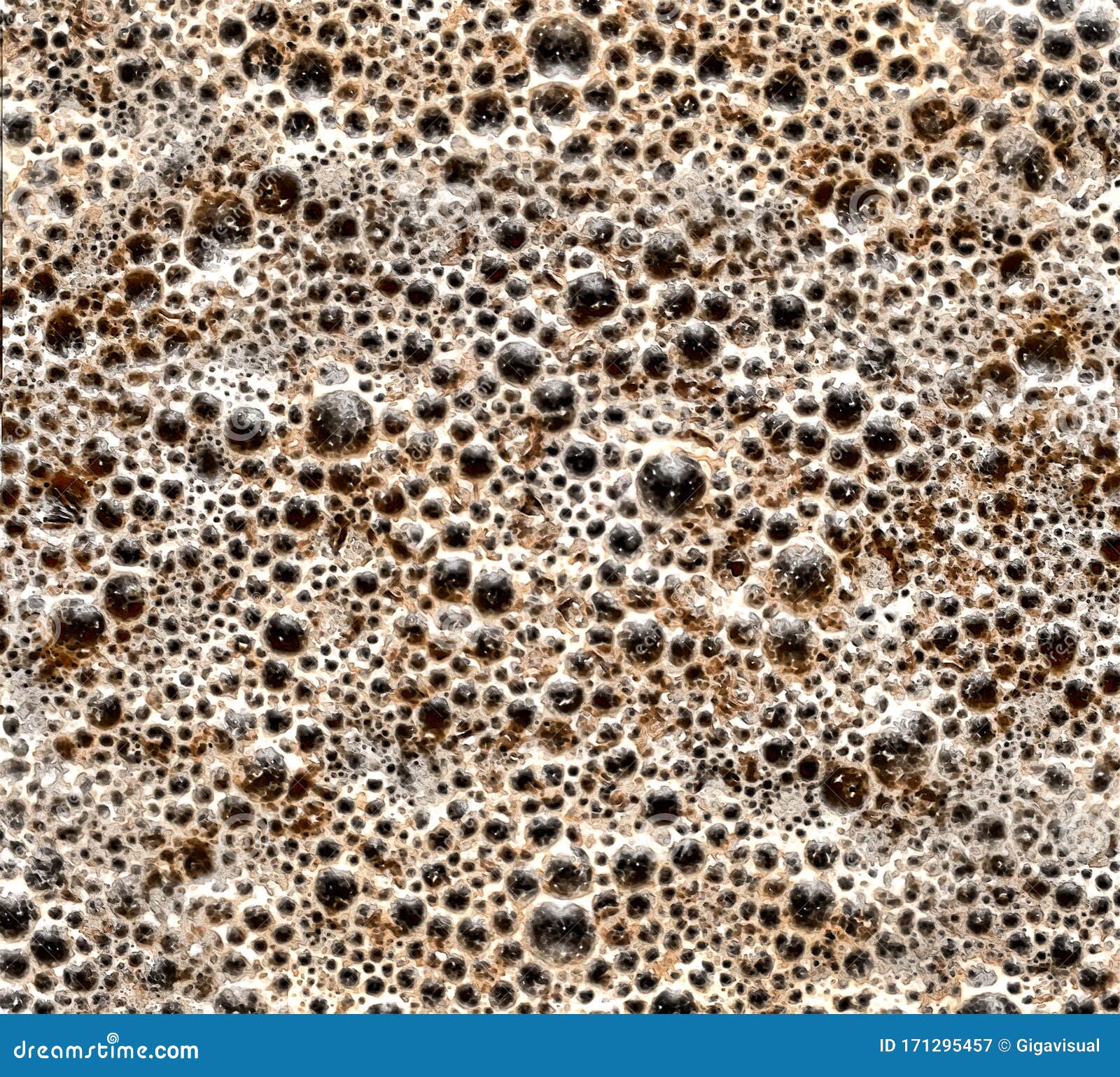 Texture bubble foam stock image. Image of backdrop, coral - 171295457