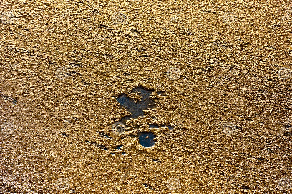 Texture of Bubbles on the Water. Close-up. Stock Image - Image of shape ...