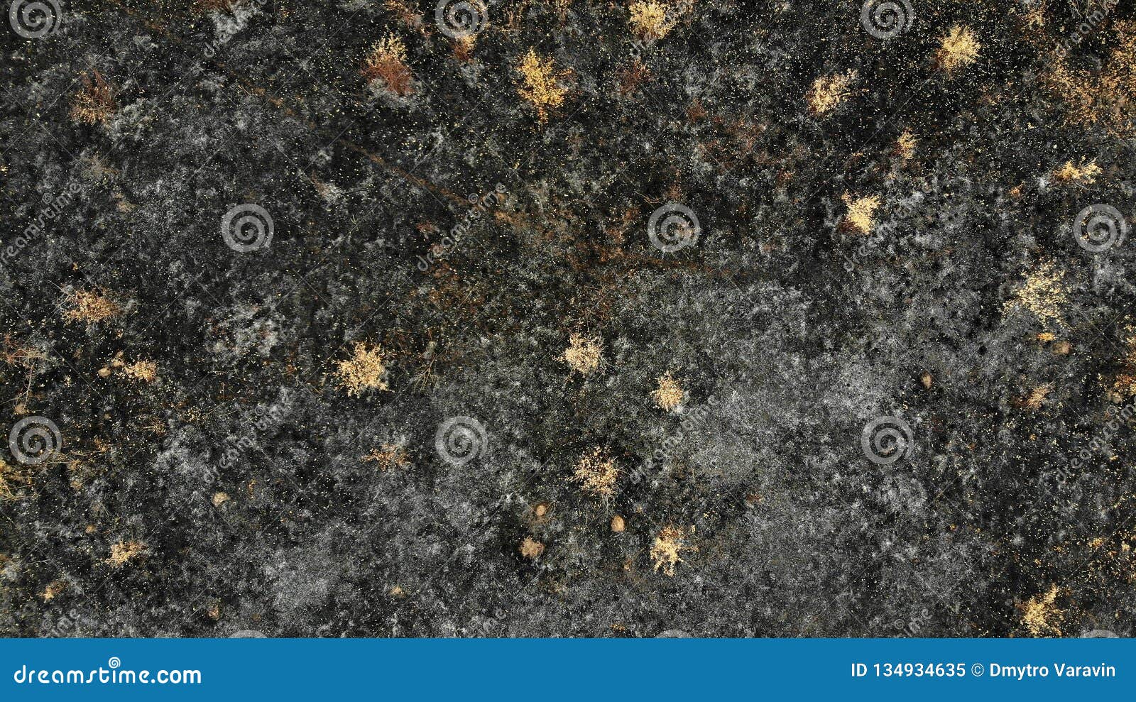 Texture of a Burnt Forest Ground after a Fire Stock Image - Image of ...