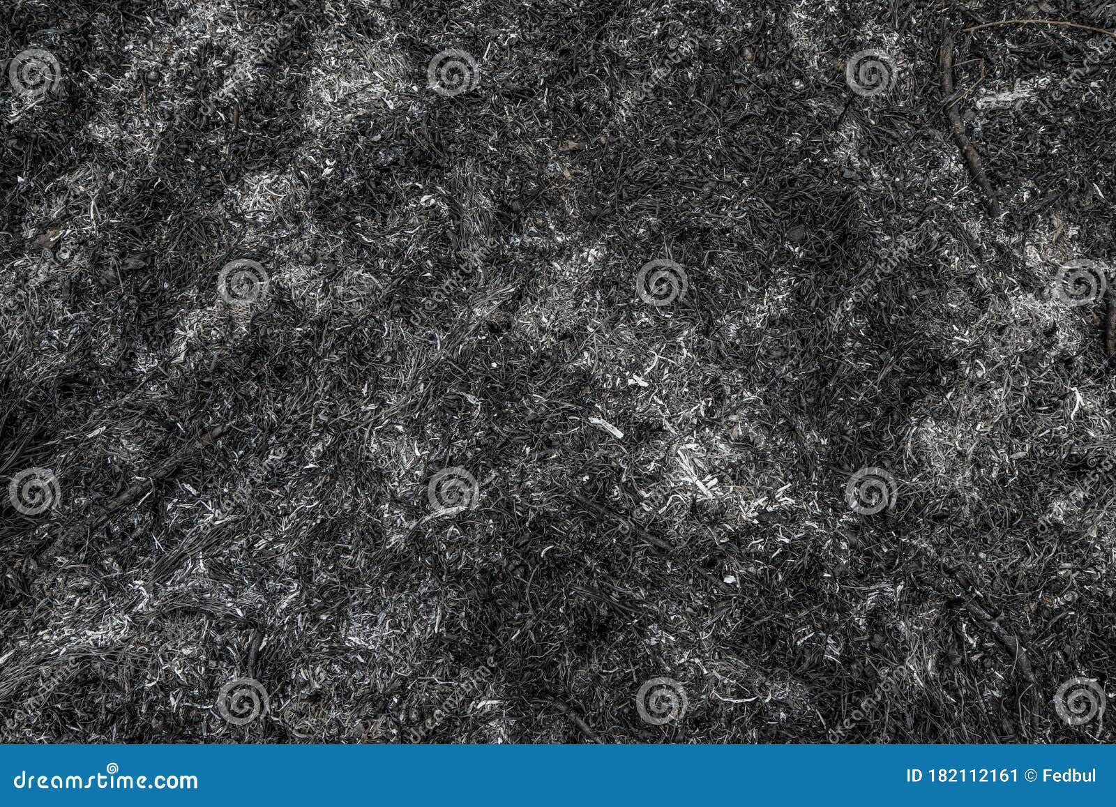 Texture Of Burnt Wooden Boards. Burnt Brown Wood Planks. Wood Texture ...