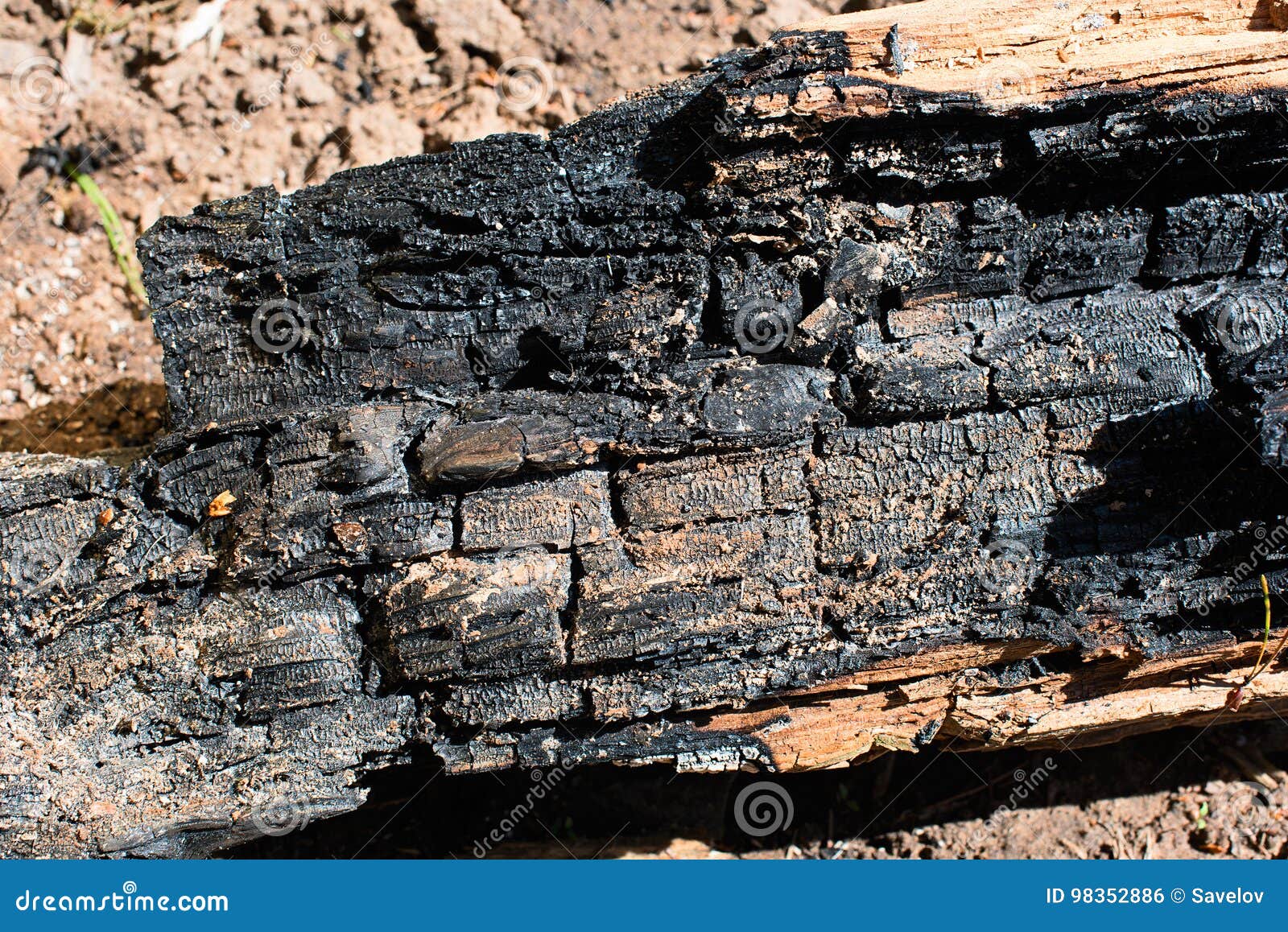 Texture of burnt log stock photo. Image of material, danger - 98352886