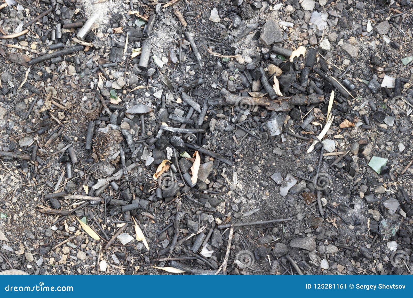 Texture of Burnt Sticks with Garbage Stock Image - Image of relief ...