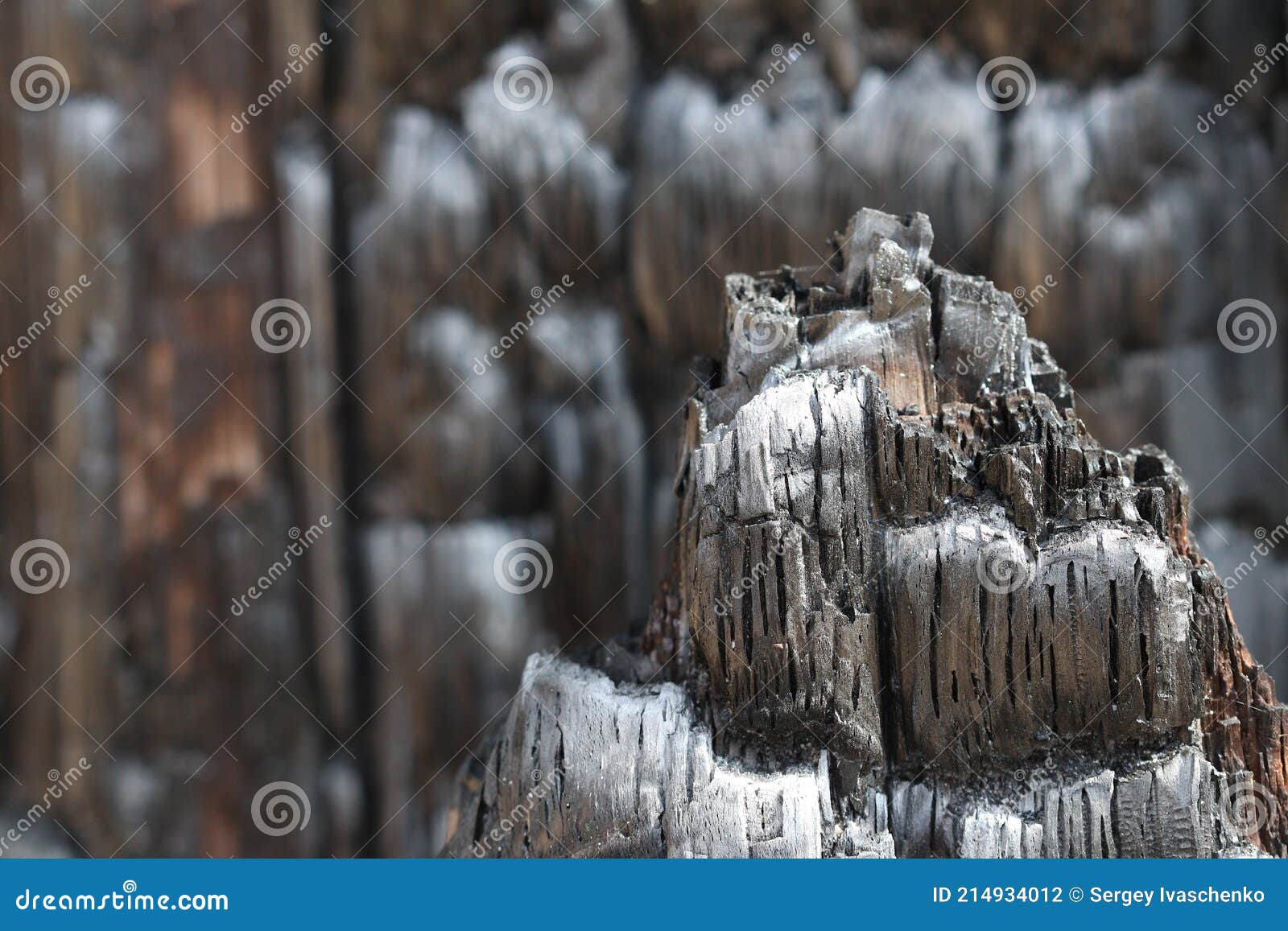 Burnt wood, charred wood. stock photo. Image of burnt - 214934012