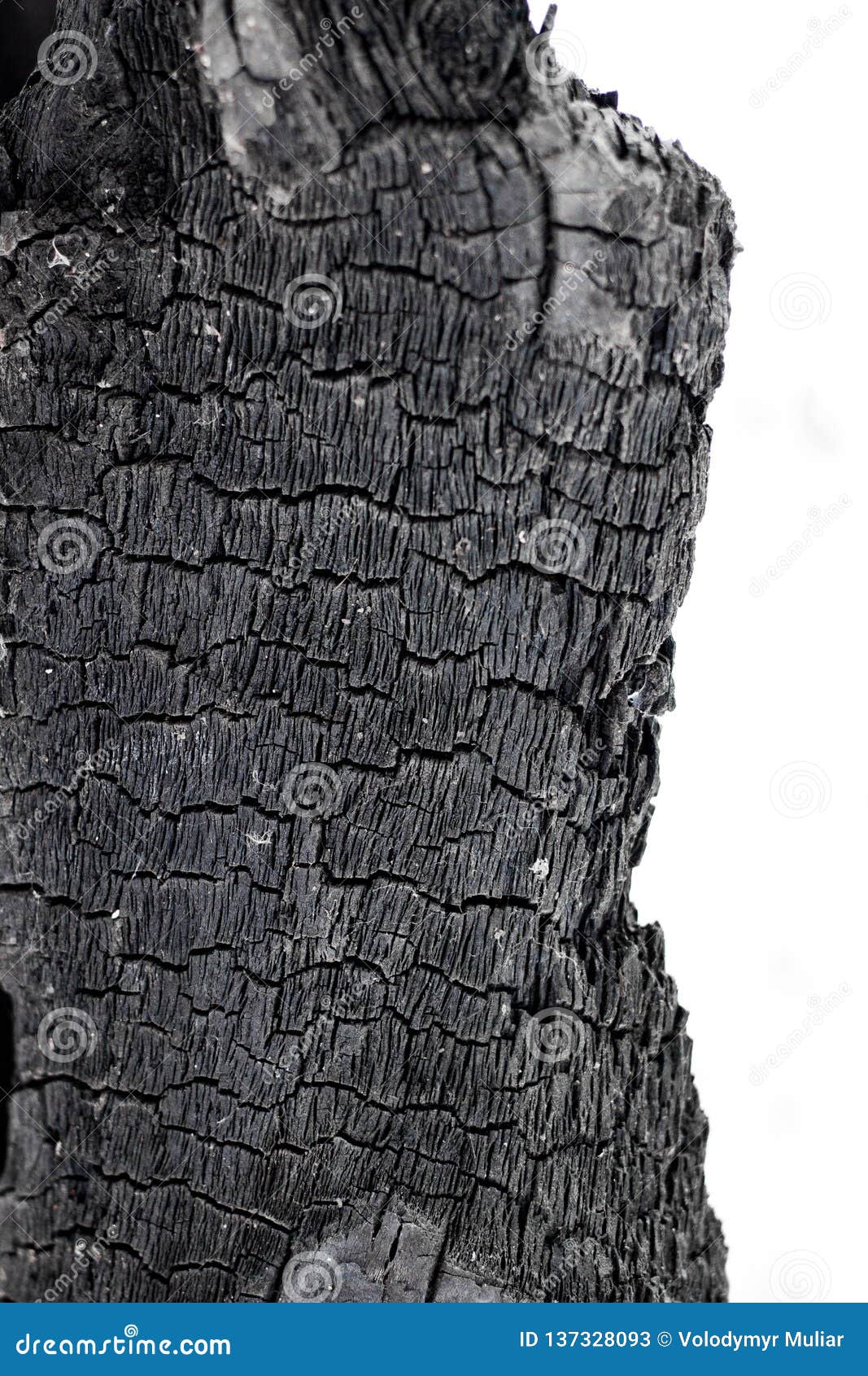 The Texture of the Burnt Tree. a Tree Burned during a Fire_ Stock Image ...