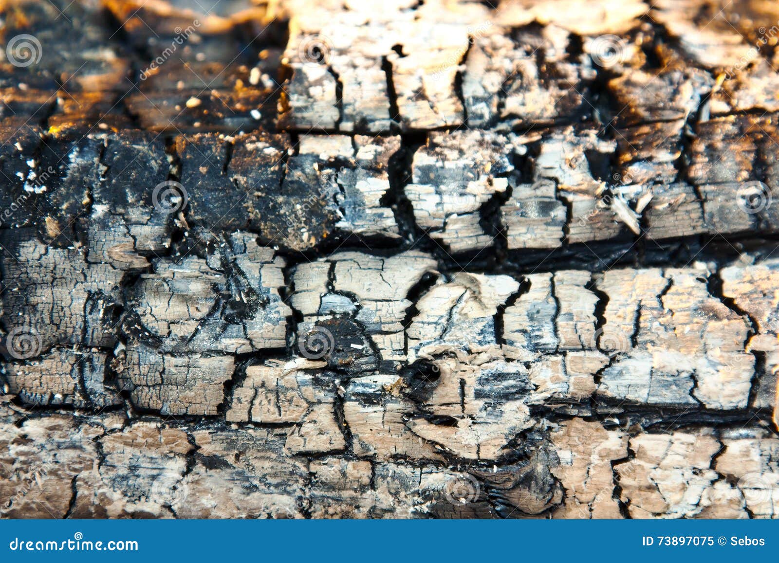 Texture of Burnt Wood. Fading Fire. Stock Image - Image of burnt ...