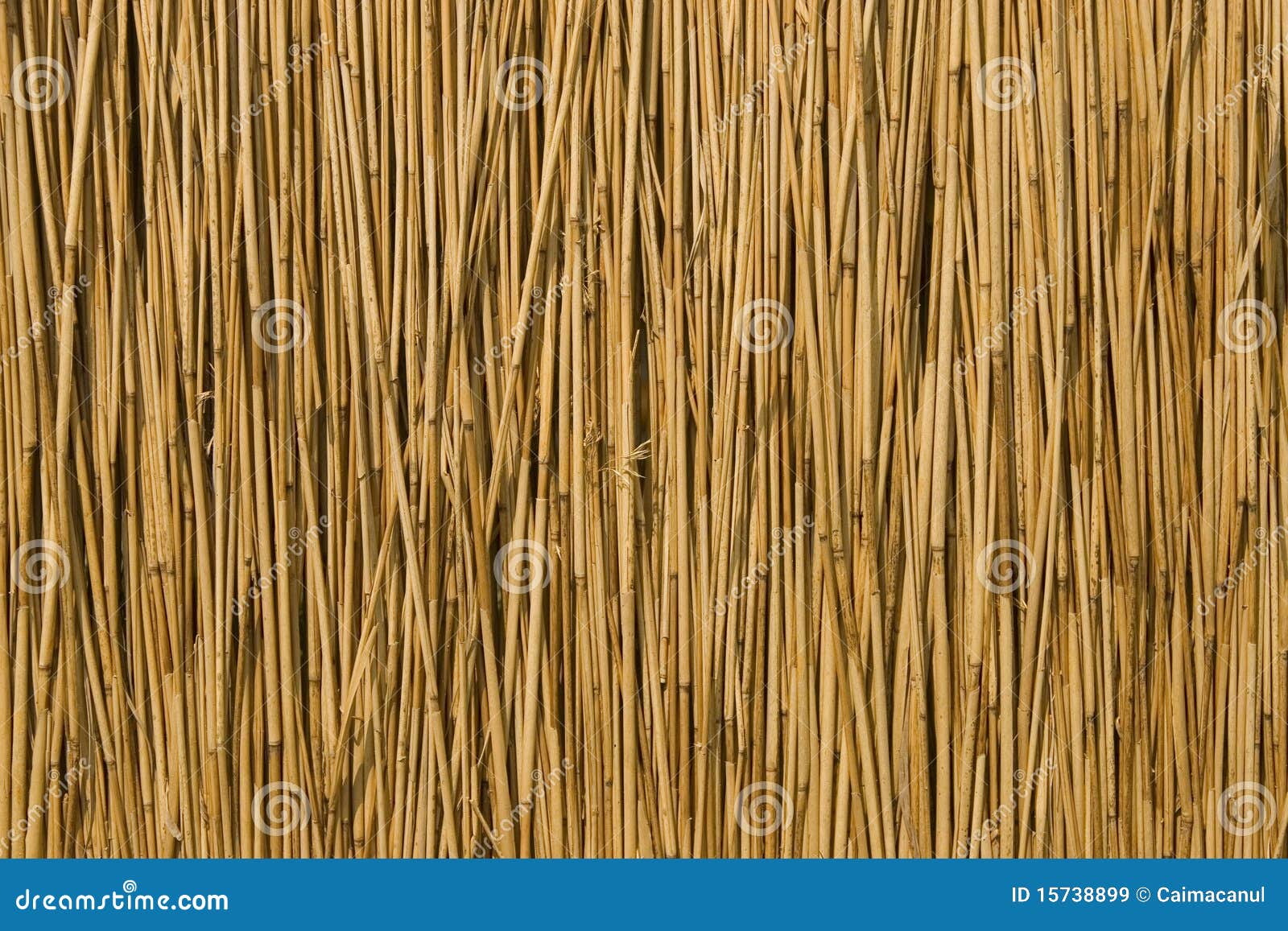 3,386 Texture Cane Dry Stock Photos - Free & Royalty-Free Stock Photos ...